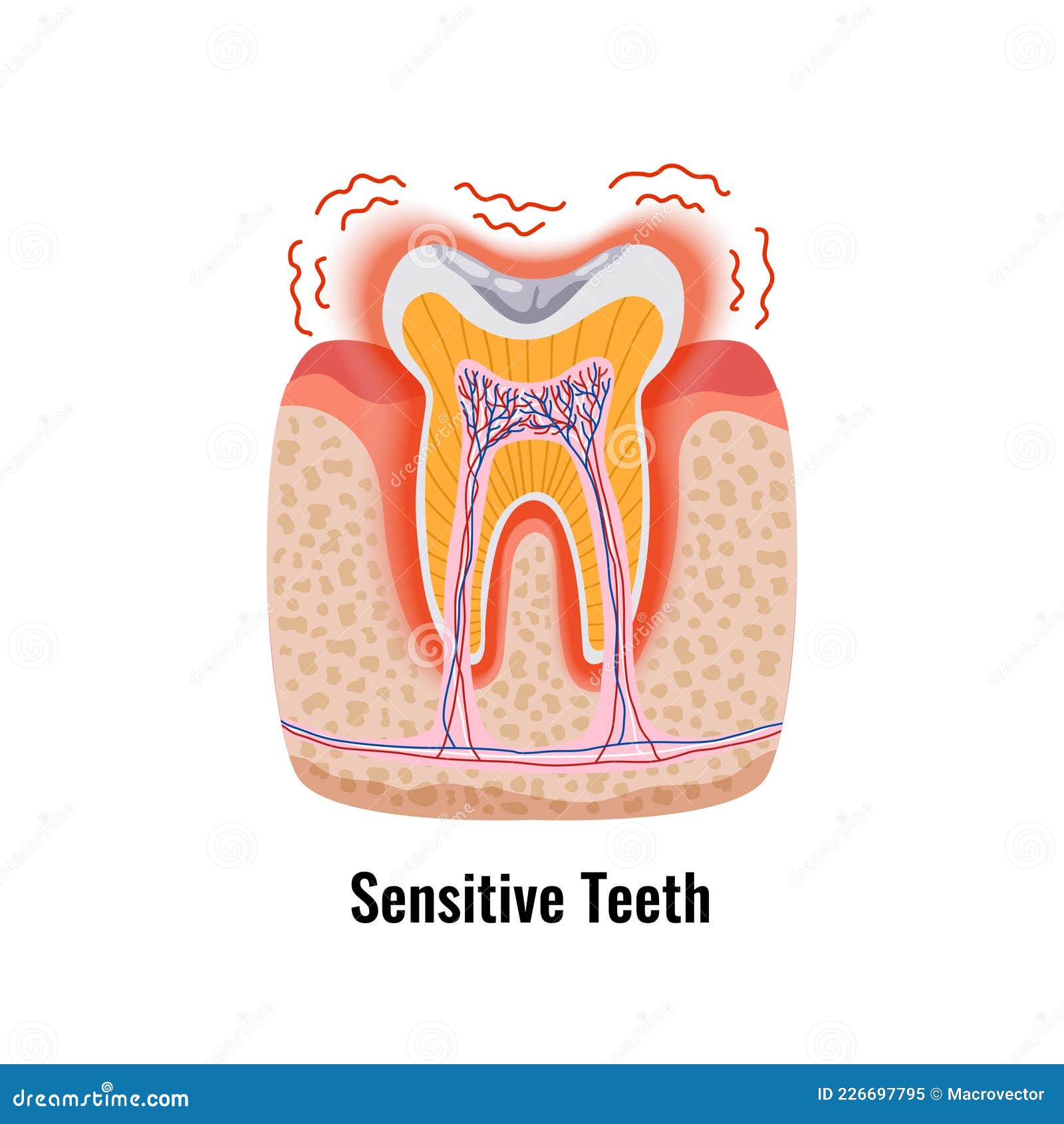 Dental Problem Poster stock vector. Illustration of organ - 226697795