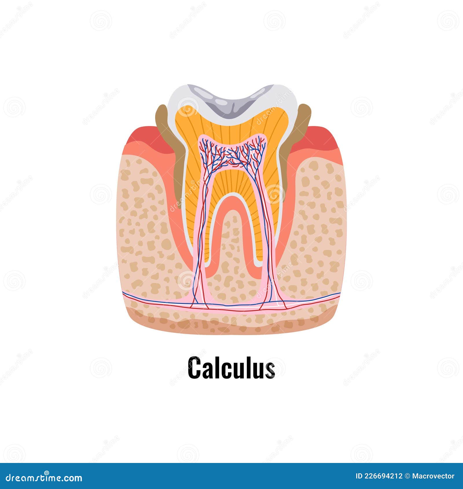 Dental Problem Poster stock vector. Illustration of infographic - 226694212