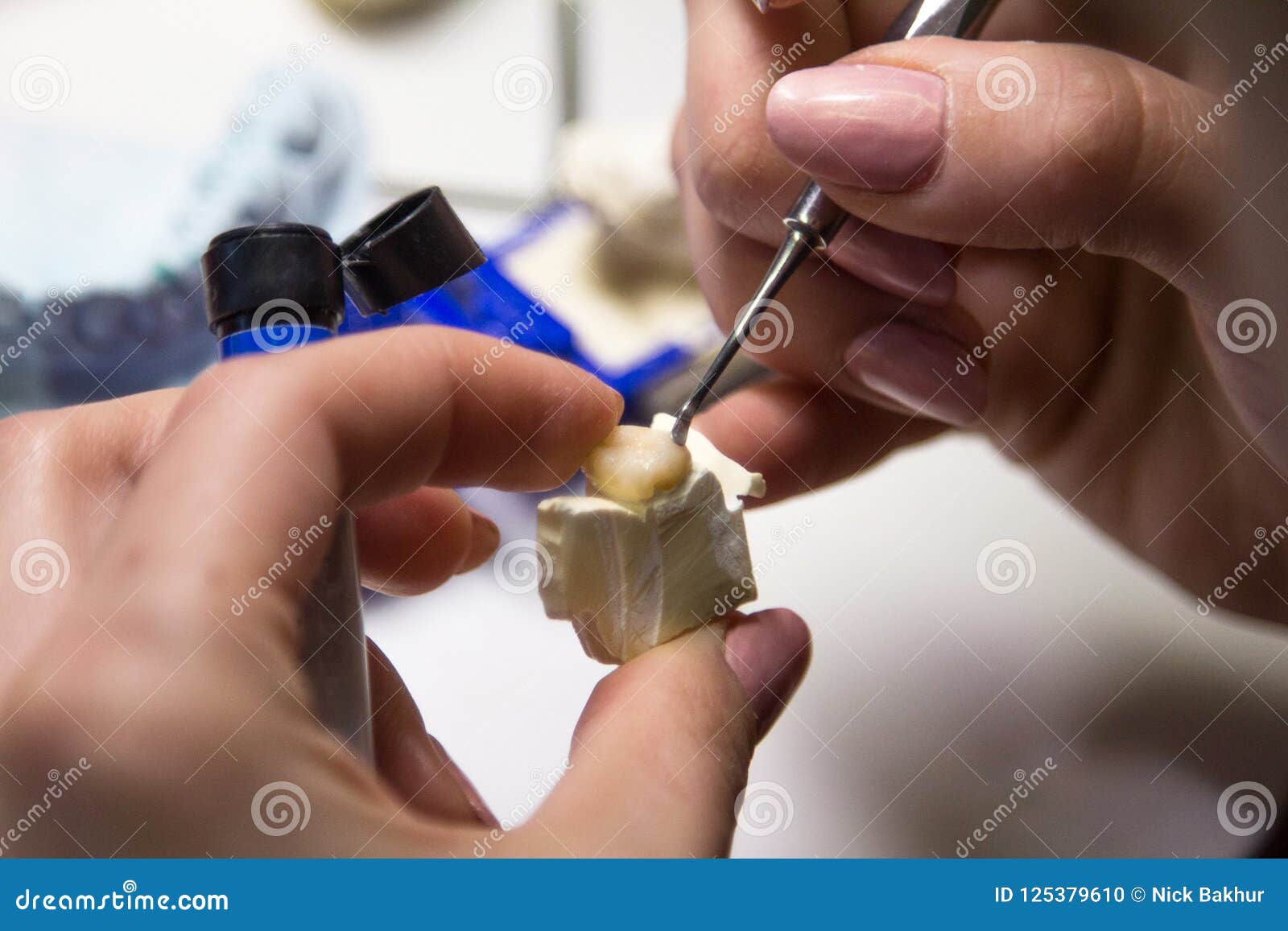 Dental Prosthesis, Artificial Tooth, Prosthetic, Hands Working on the ...