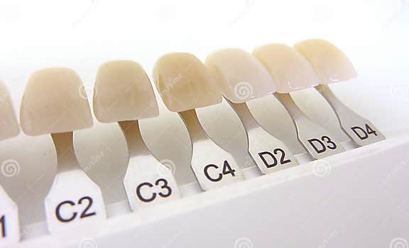 Dental shade guide stock photo. Image of aesthetic, doctor - 13383198