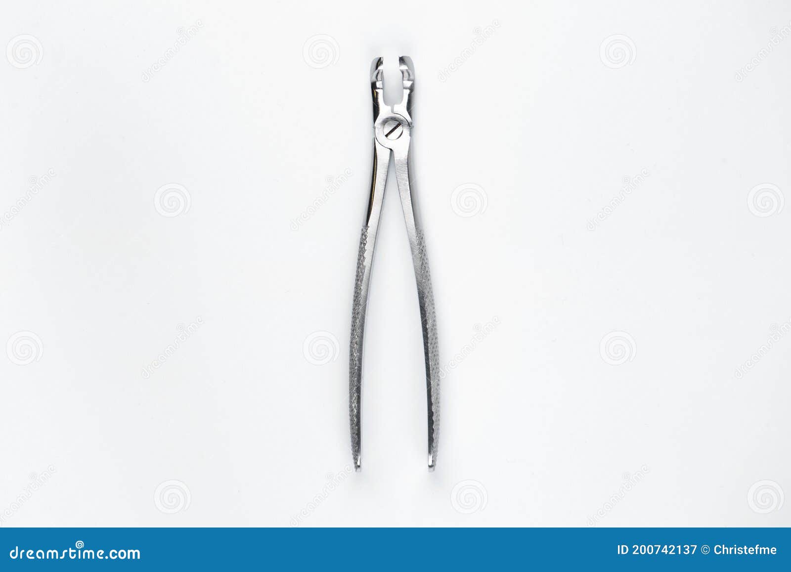 Dental Steel Forceps on Isolated White Background Stock Image - Image ...