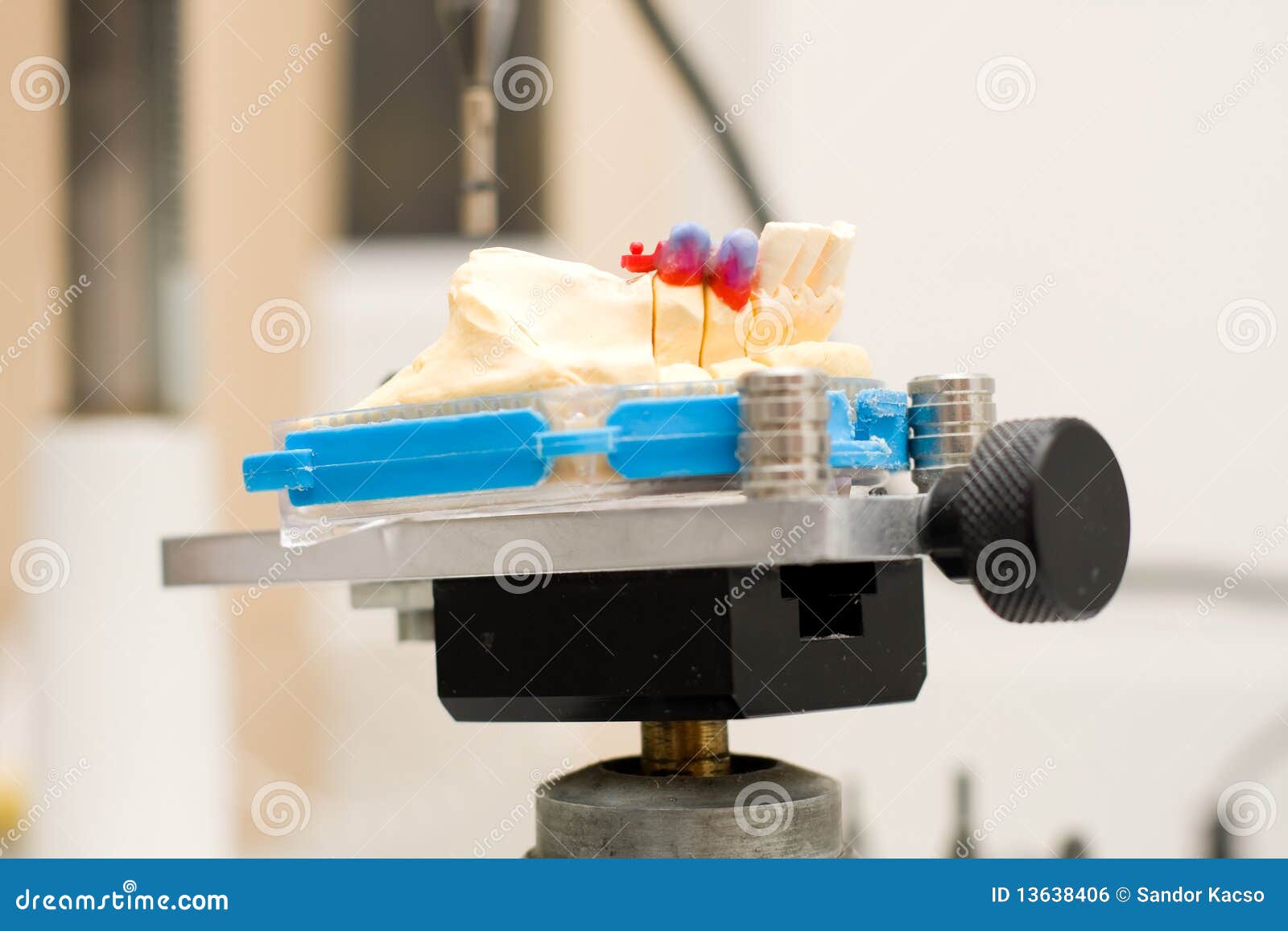 Dental Technical Laboratory Stock Photo - Image of gypsum ...