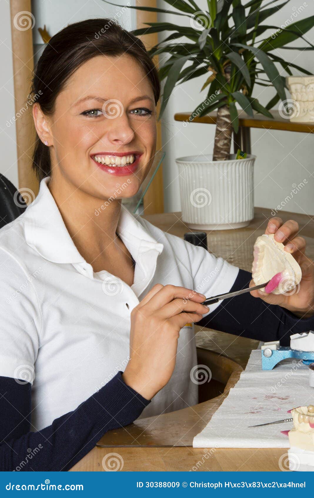 Dental technician stock image. Image of teeth, prosthesis - 30388009