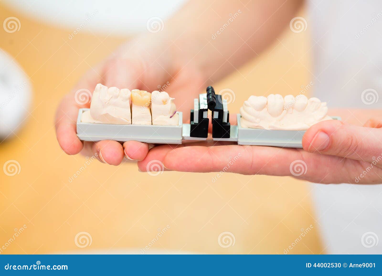 Dental Technician Checking Denture Stock Photo - Image of cement, model ...