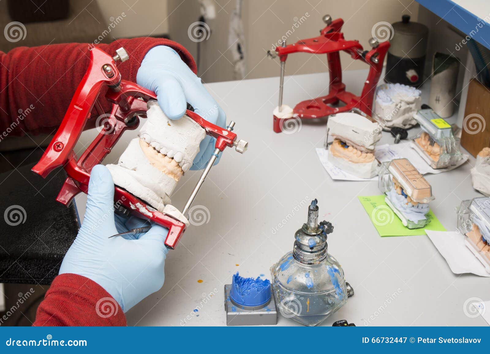 Dental Technician Showing Tooth Dentures Stock Image - Image of ...