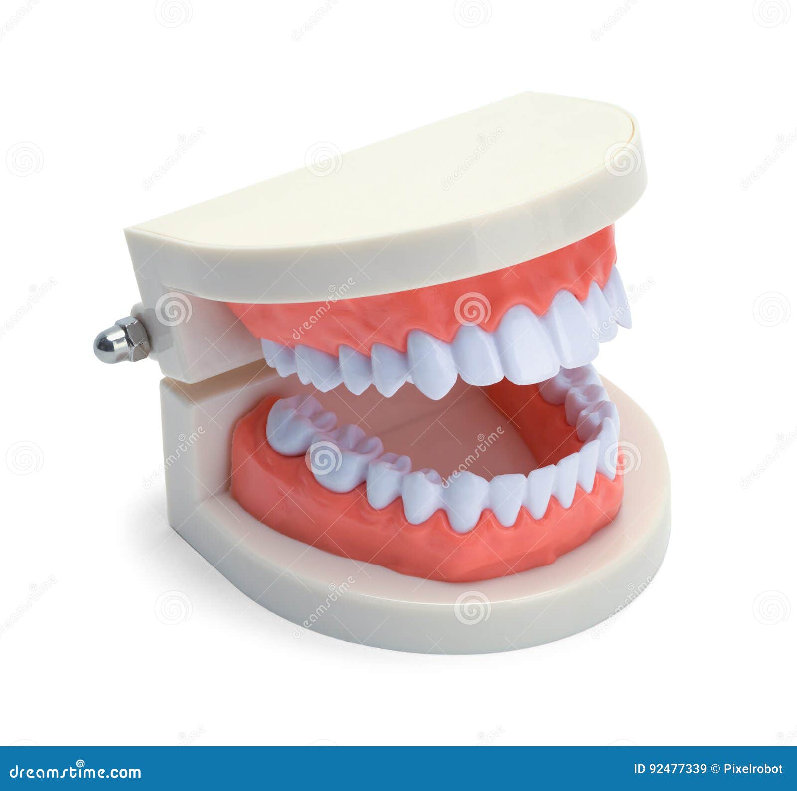 Dental Teeth Open stock image. Image of health, dentist - 92477339