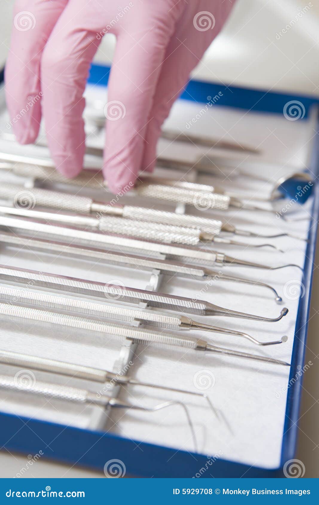 Dental Tools with a Gloved Hand Stock Photo - Image of offset ...