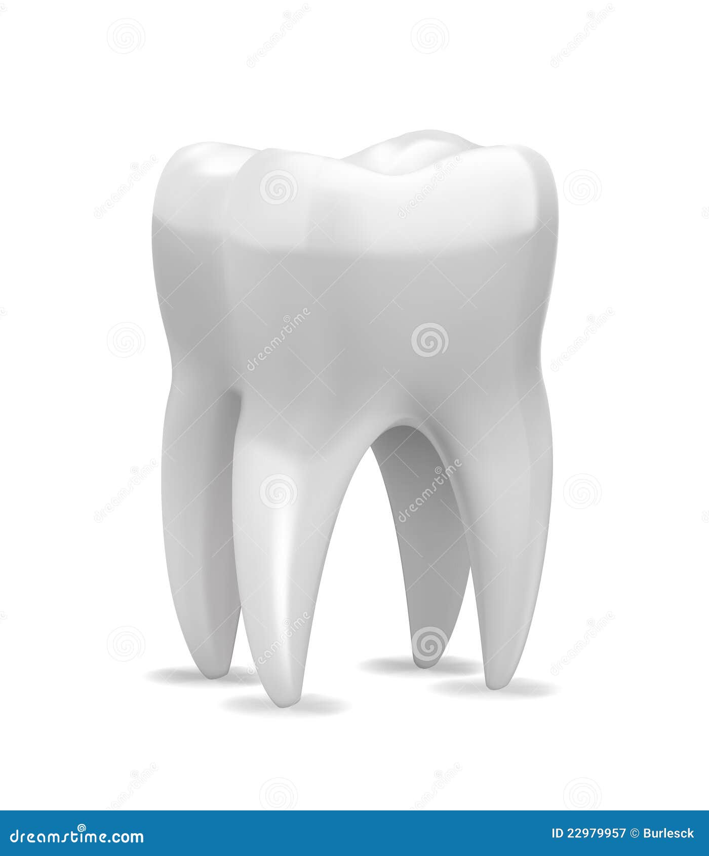 Dente do vetor ilustração do vetor. Ilustração de dentista - 22979957