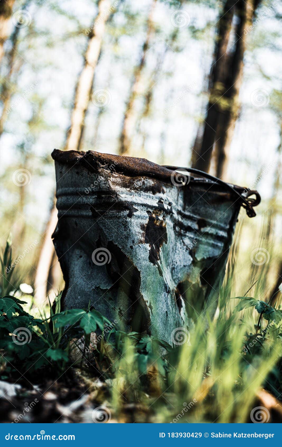 Dented Bucket in the Forest Stock Image - Image of grey, retro: 183930429