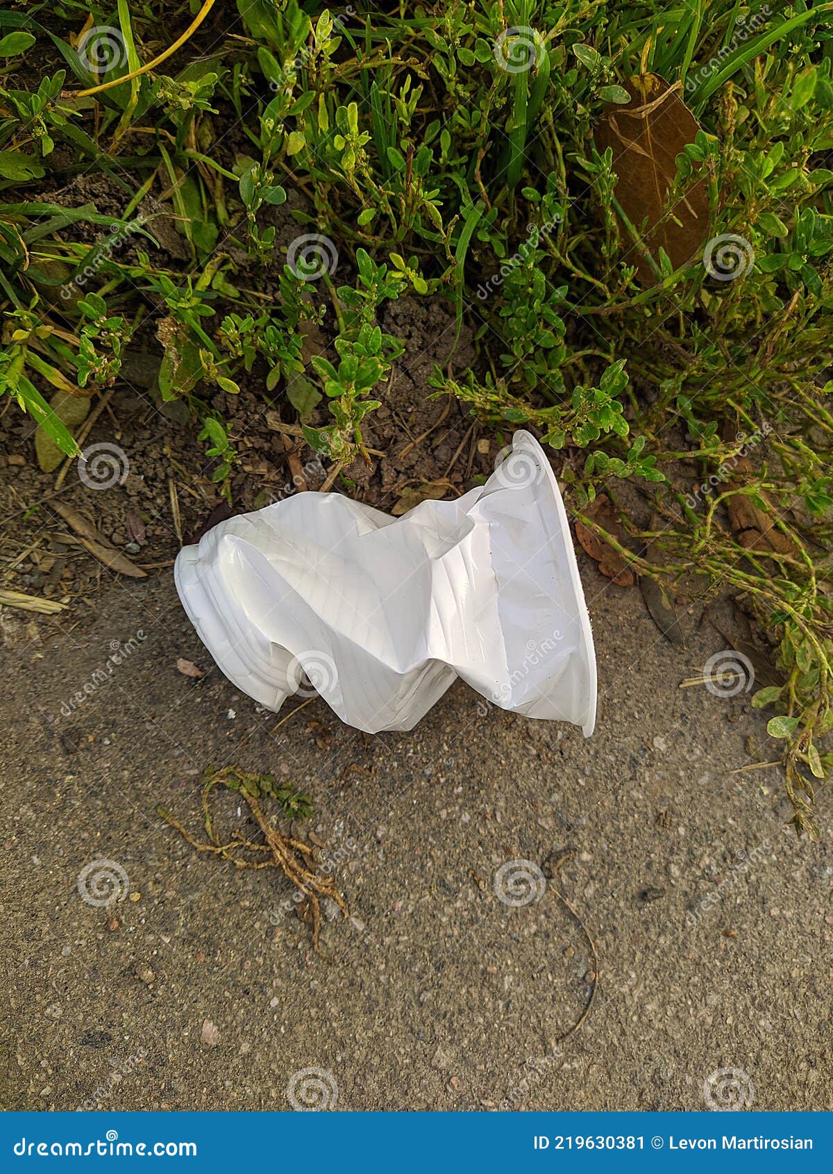 Dented and Discarded White Disposable Plastic Cup Stock Image - Image ...