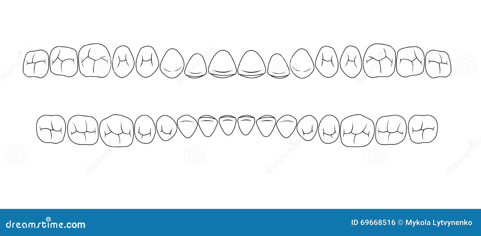 Dentes das fissura ilustração do vetor. Ilustração de odontologia ...