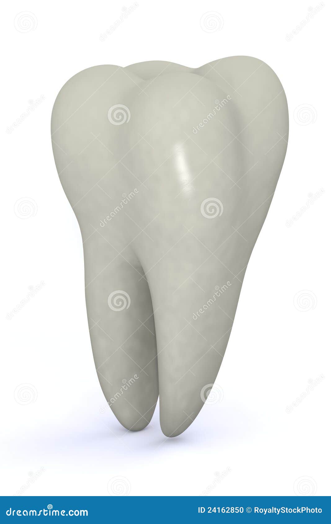 Denti molari illustrazione di stock. Illustrazione di illustrazione ...