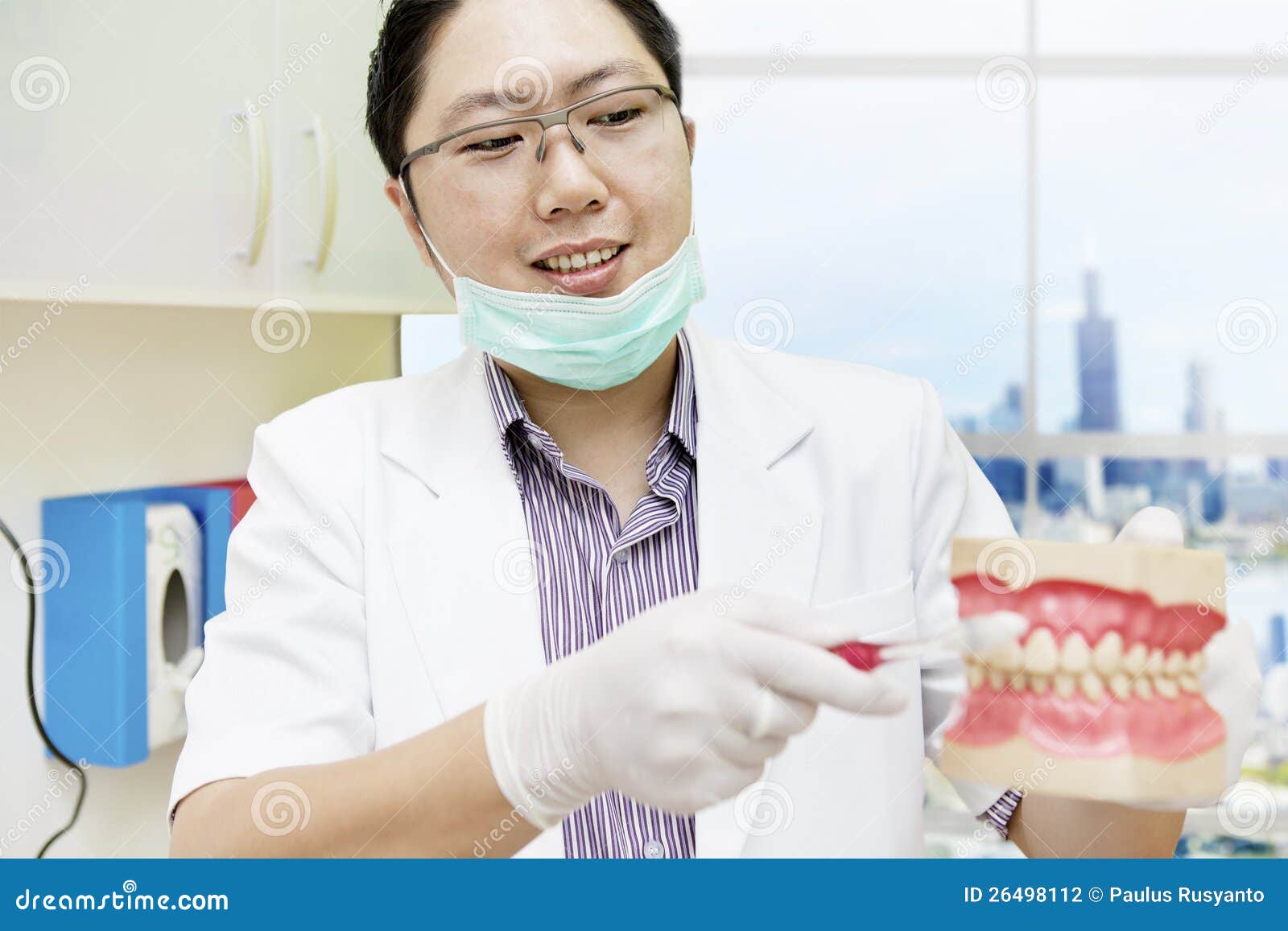 Dentist brushing dentures stock photo. Image of cleaning - 26498112