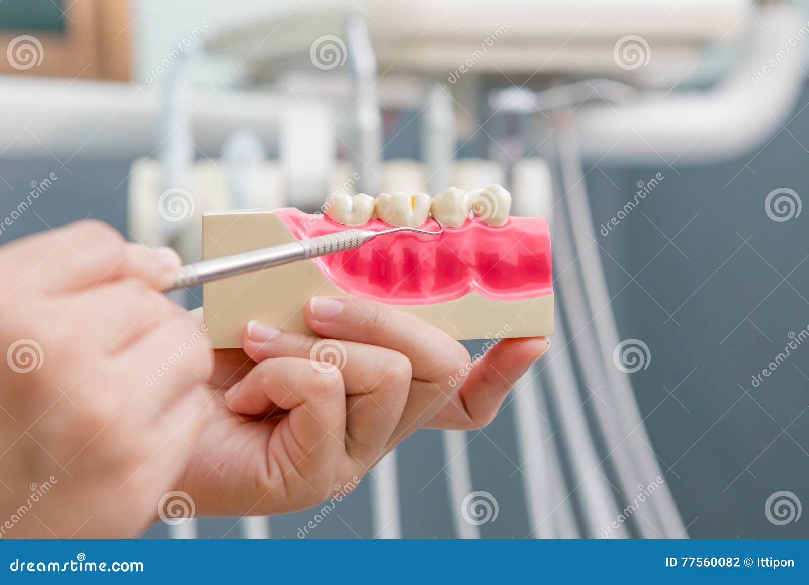 Dentist Demonstrate Tooth Brushing Stock Photo - Image of material ...