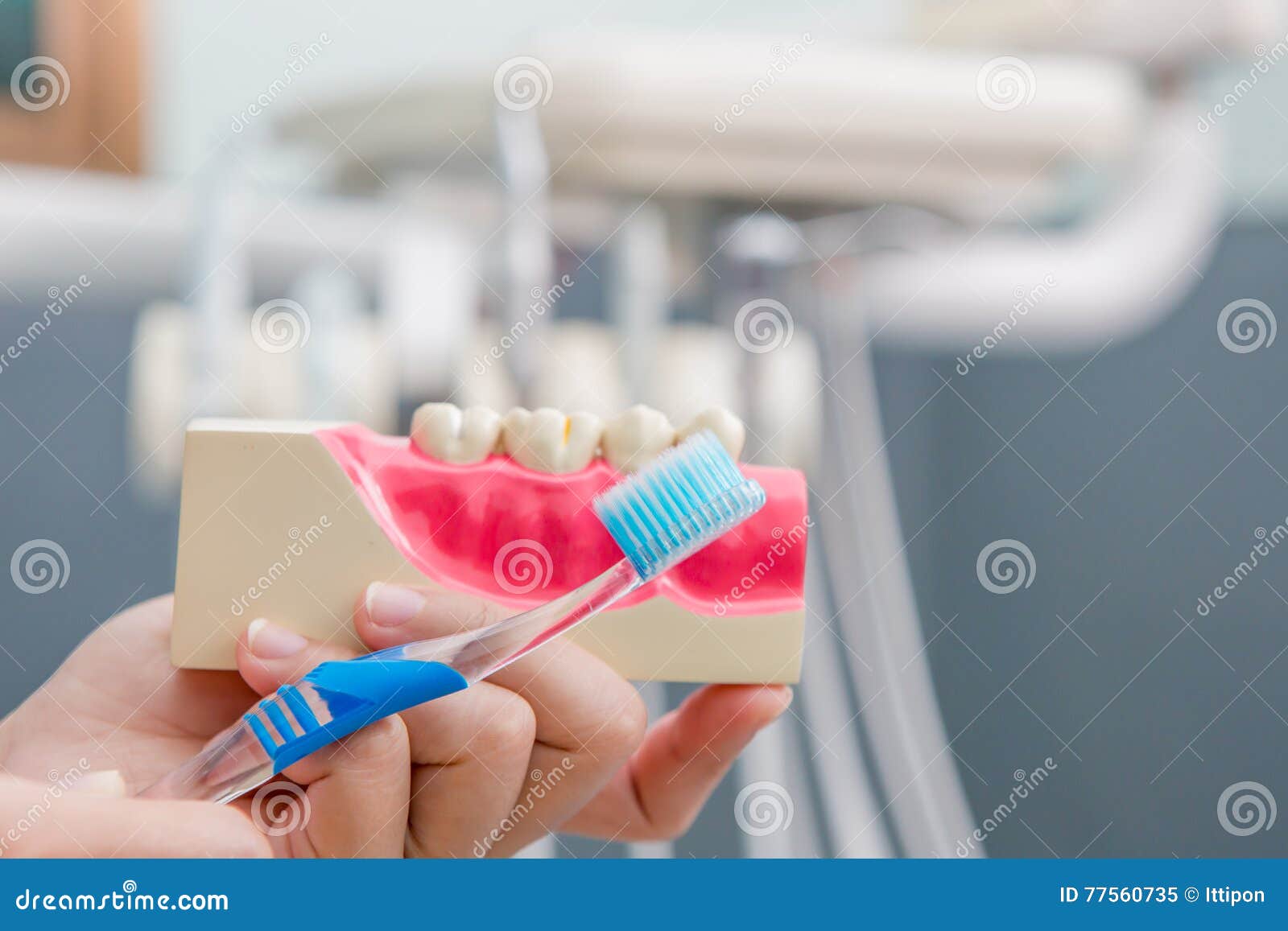 Dentist Demonstrate Tooth Brushing Stock Image - Image of prosthodontic ...