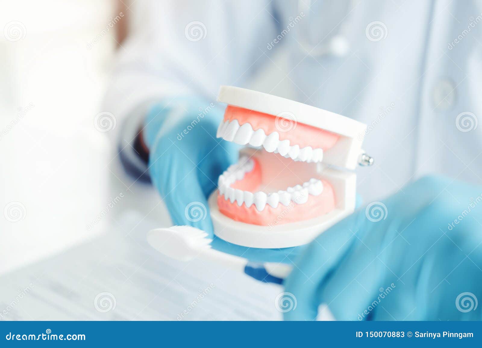 Dentist with Denture Learning How To Teeth at DentistÂ’s Office Stock ...