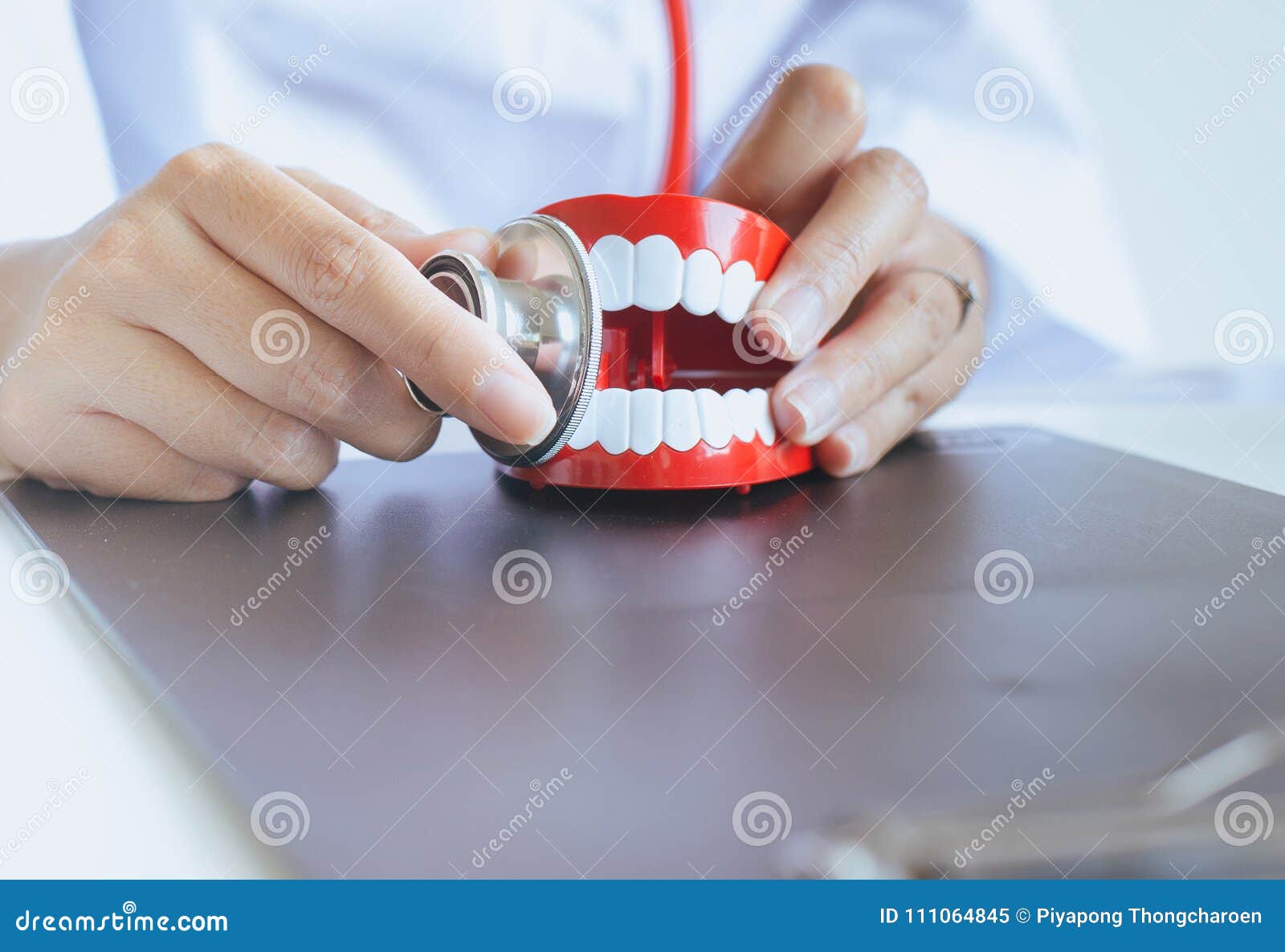 Dentist Diagnose Plastic Teeth Models On White Blackground,Concept Of ...