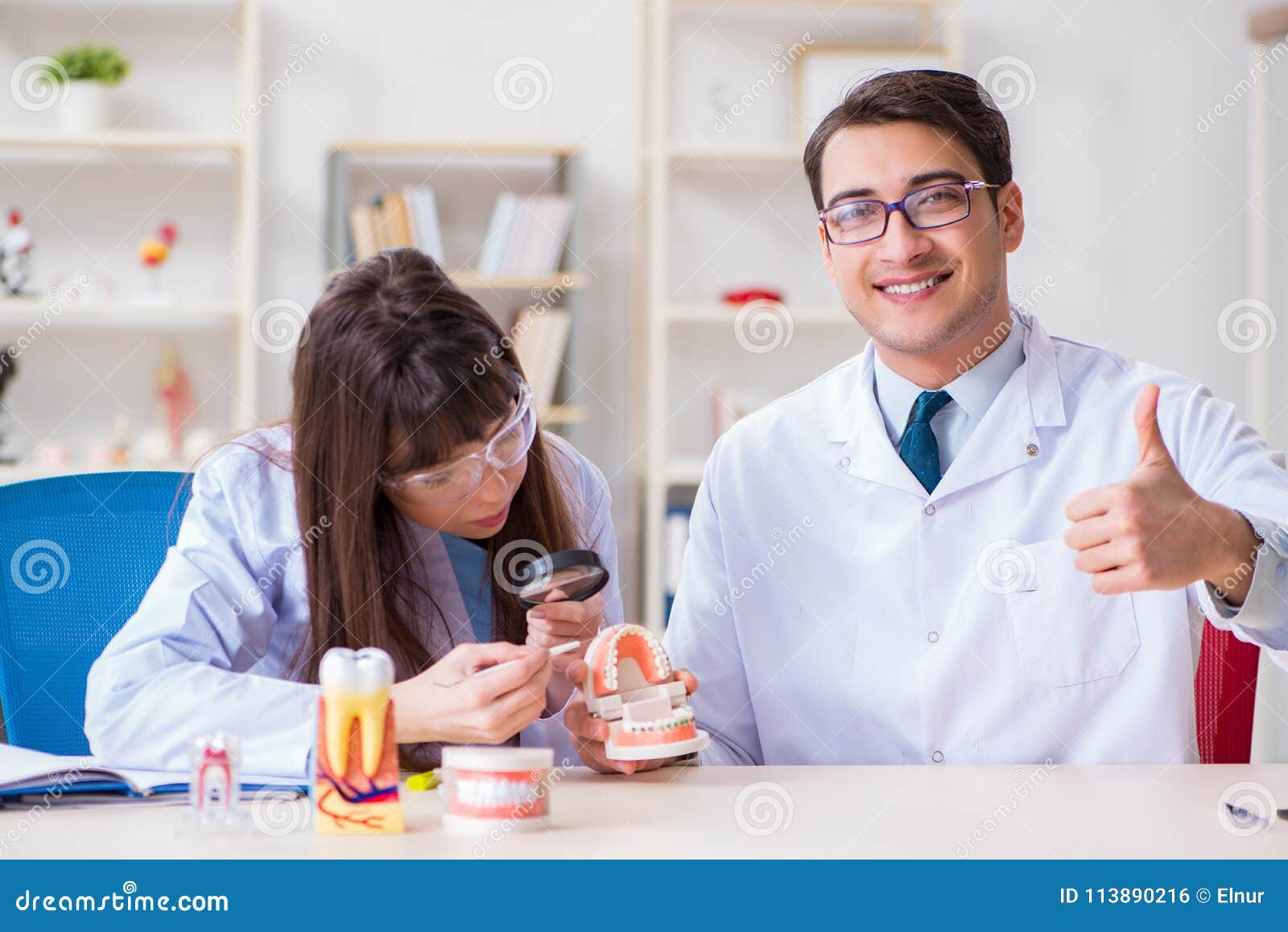The Dentist Explaining Student Tooth Structure Stock Photo - Image of ...