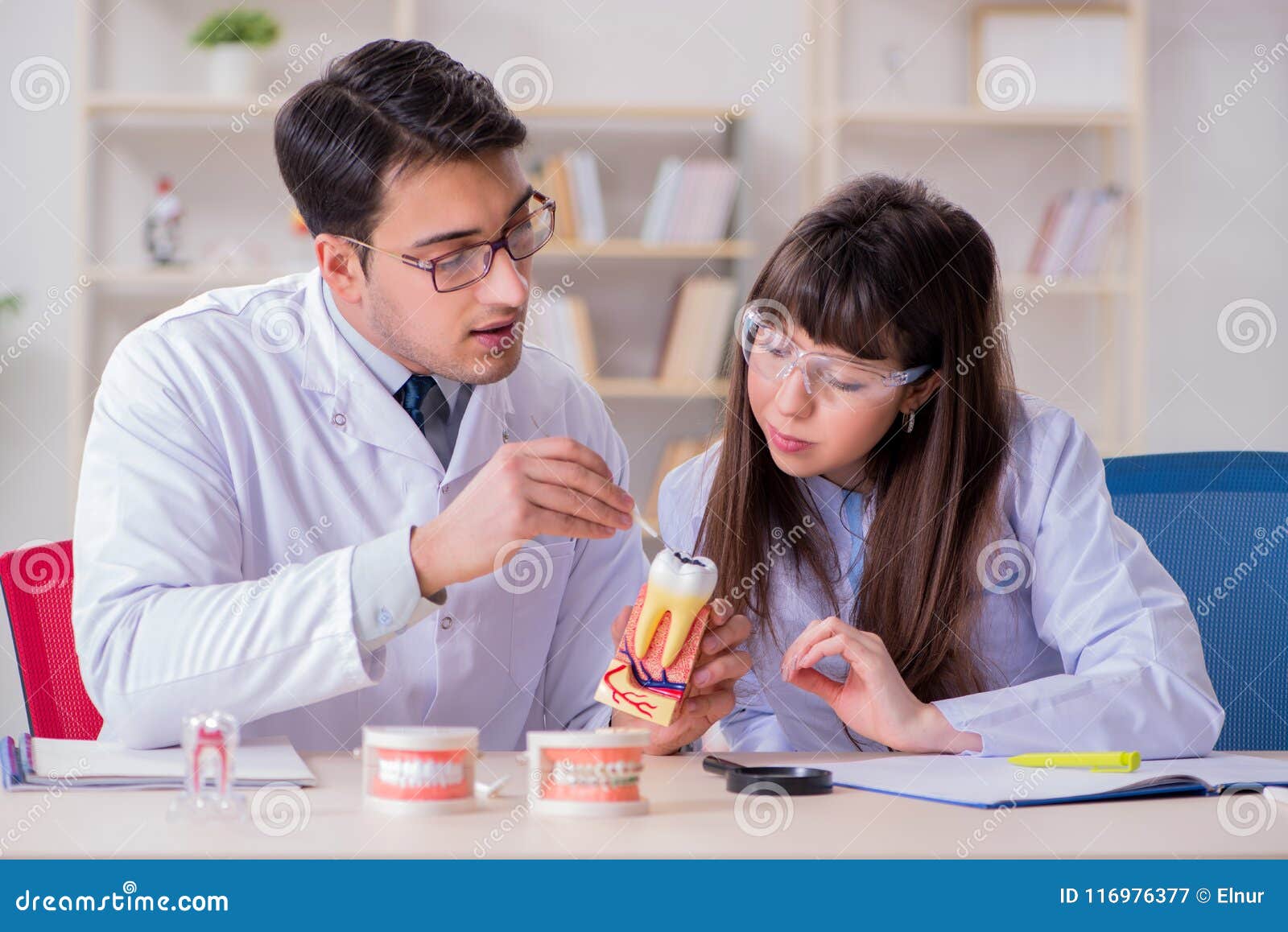 The Dentist Explaining Student Tooth Structure Stock Image - Image of ...