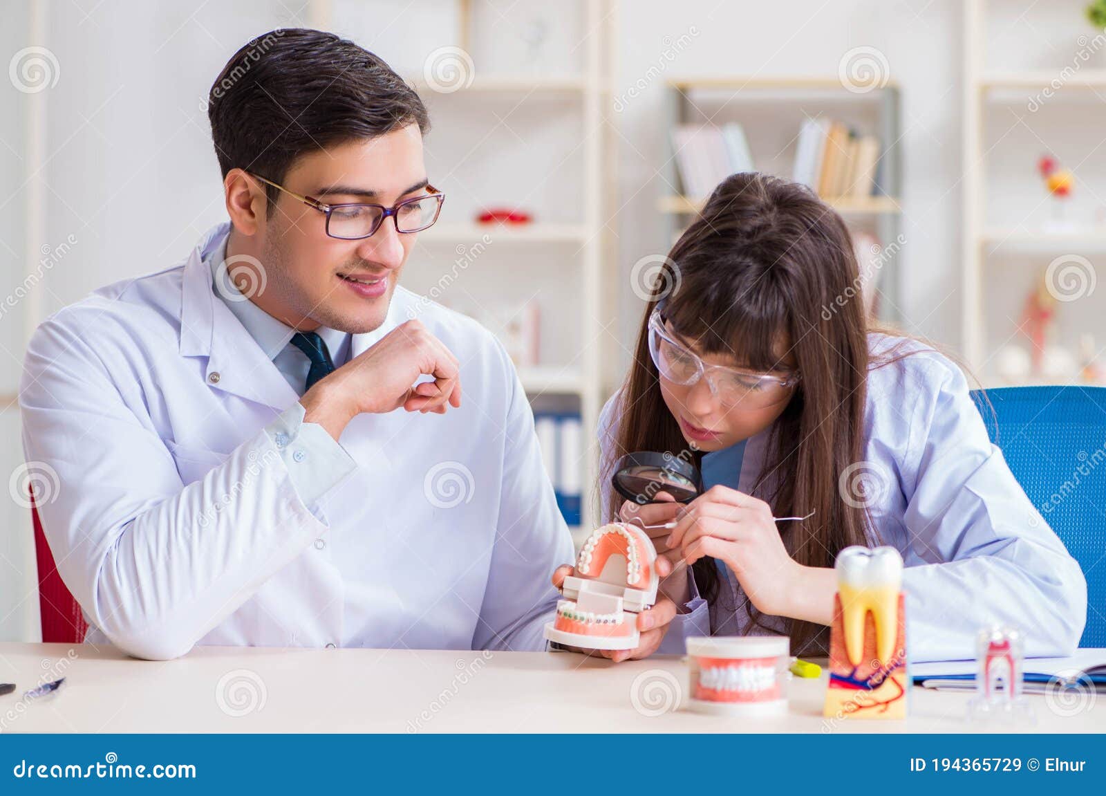 Dentist Explaining Student Tooth Structure Stock Image - Image of ...
