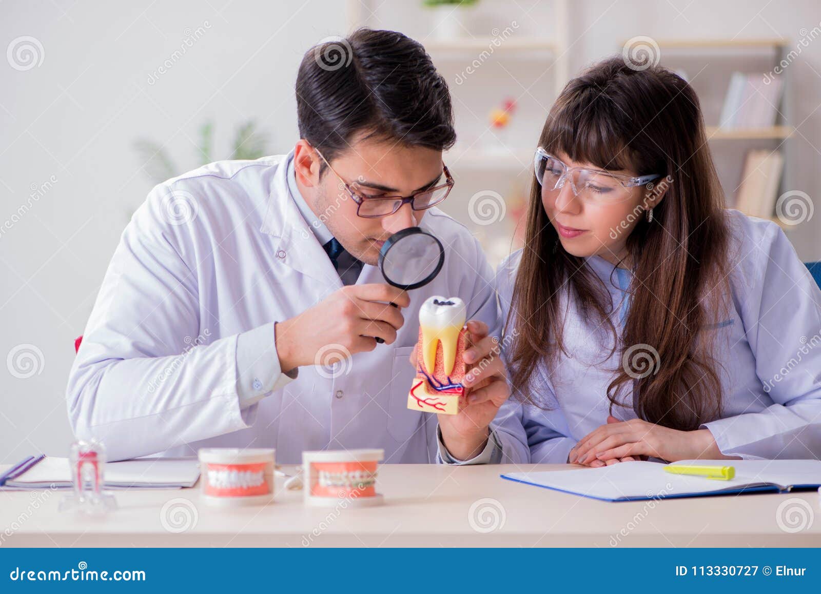 The Dentist Explaining Student Tooth Structure Stock Image - Image of ...
