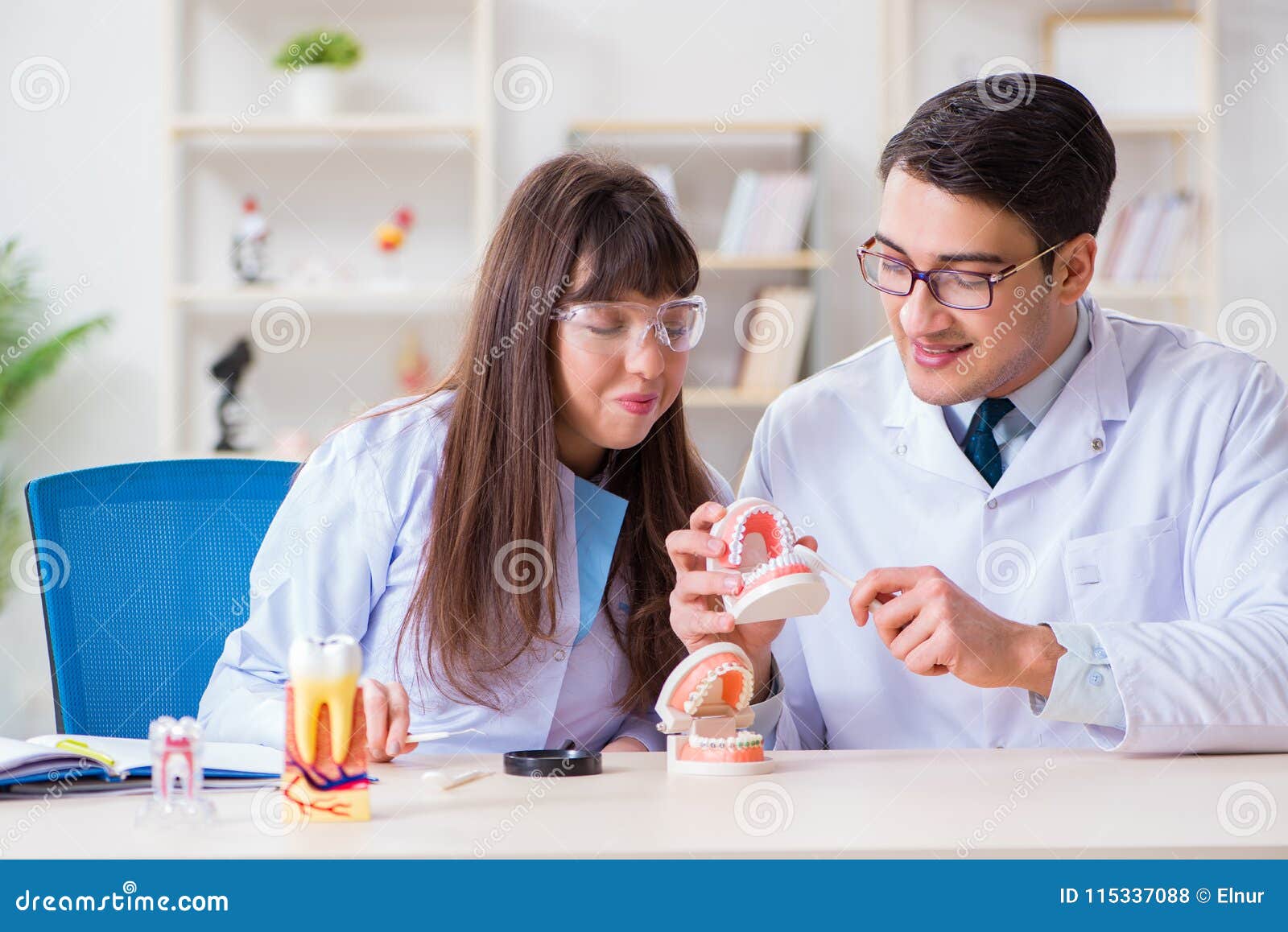 The Dentist Explaining Student Tooth Structure Stock Photo - Image of ...