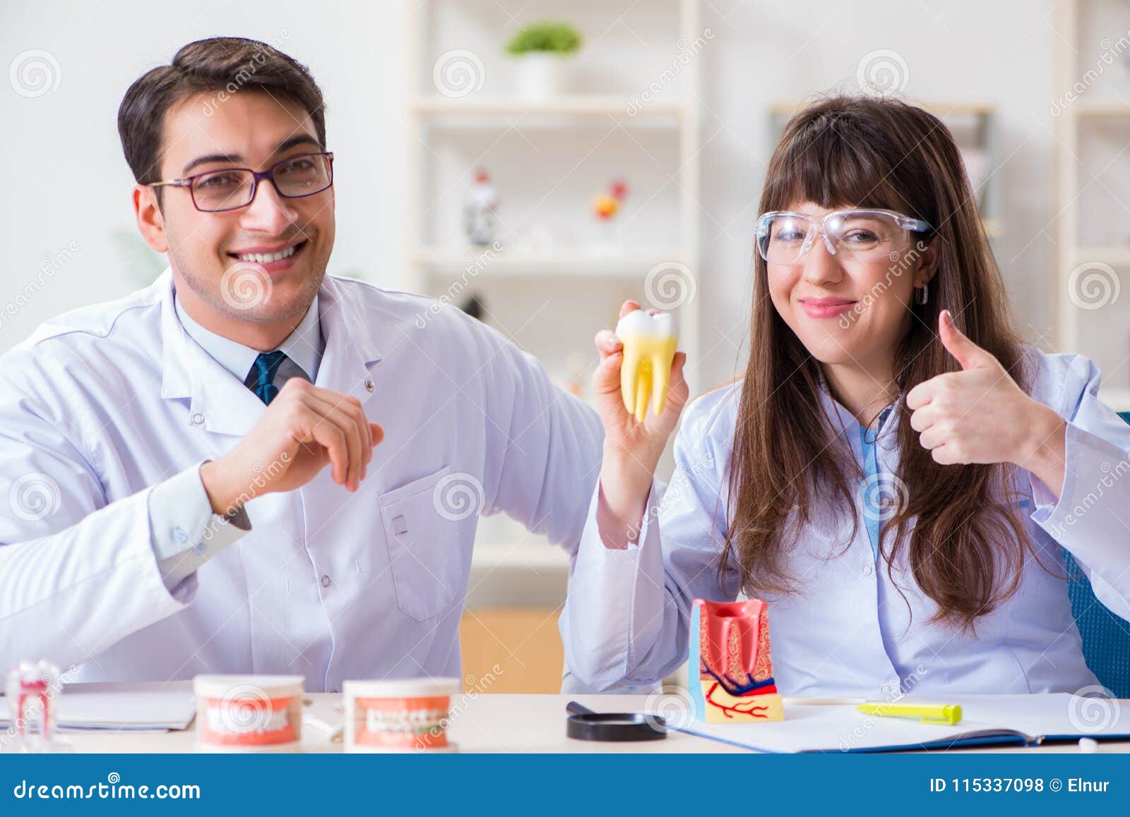 The Dentist Explaining Student Tooth Structure Stock Photo - Image of ...