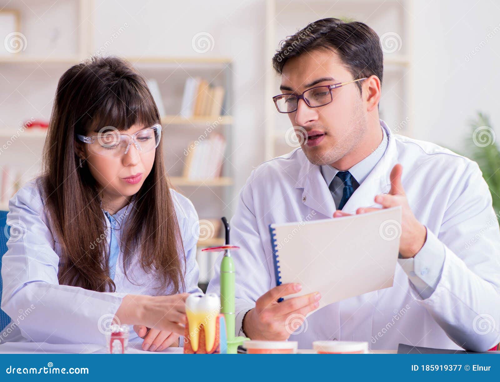 Dentist Explaining Student Tooth Structure Stock Image - Image of ...