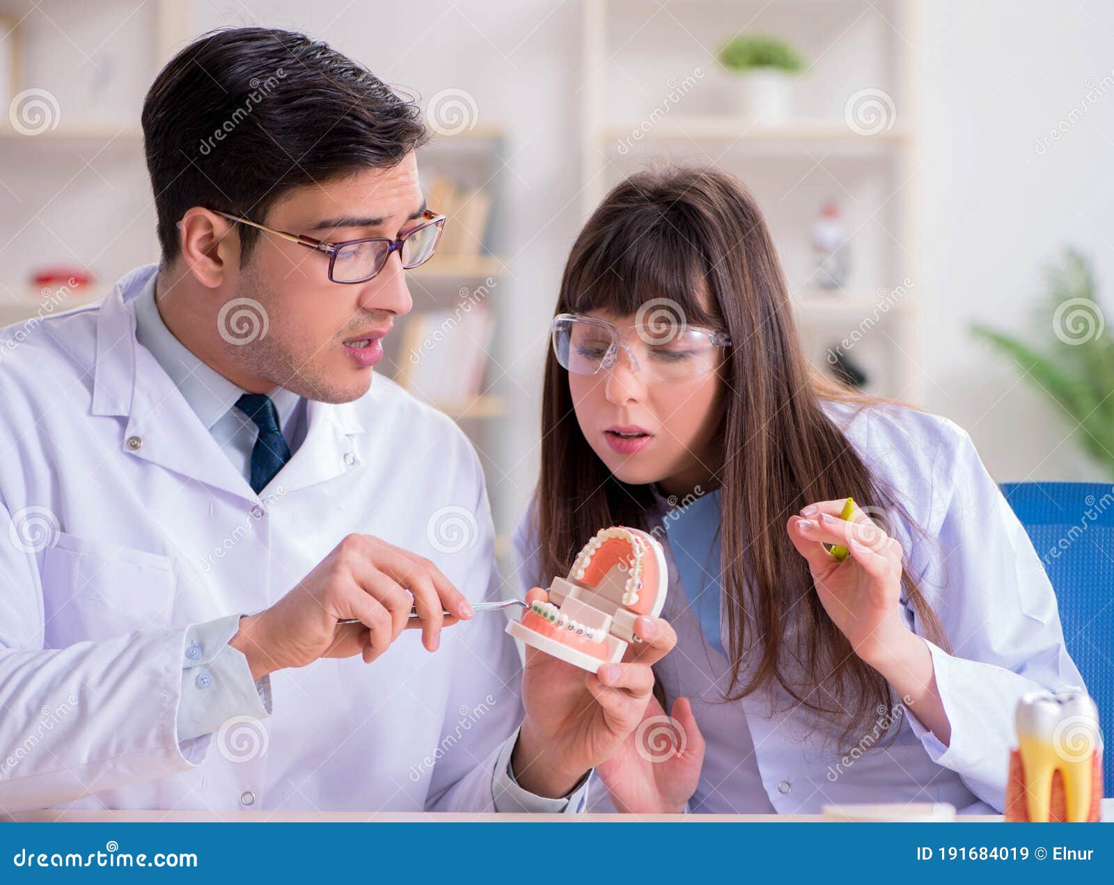 Dentist Explaining Student Tooth Structure Stock Image - Image of mouth ...