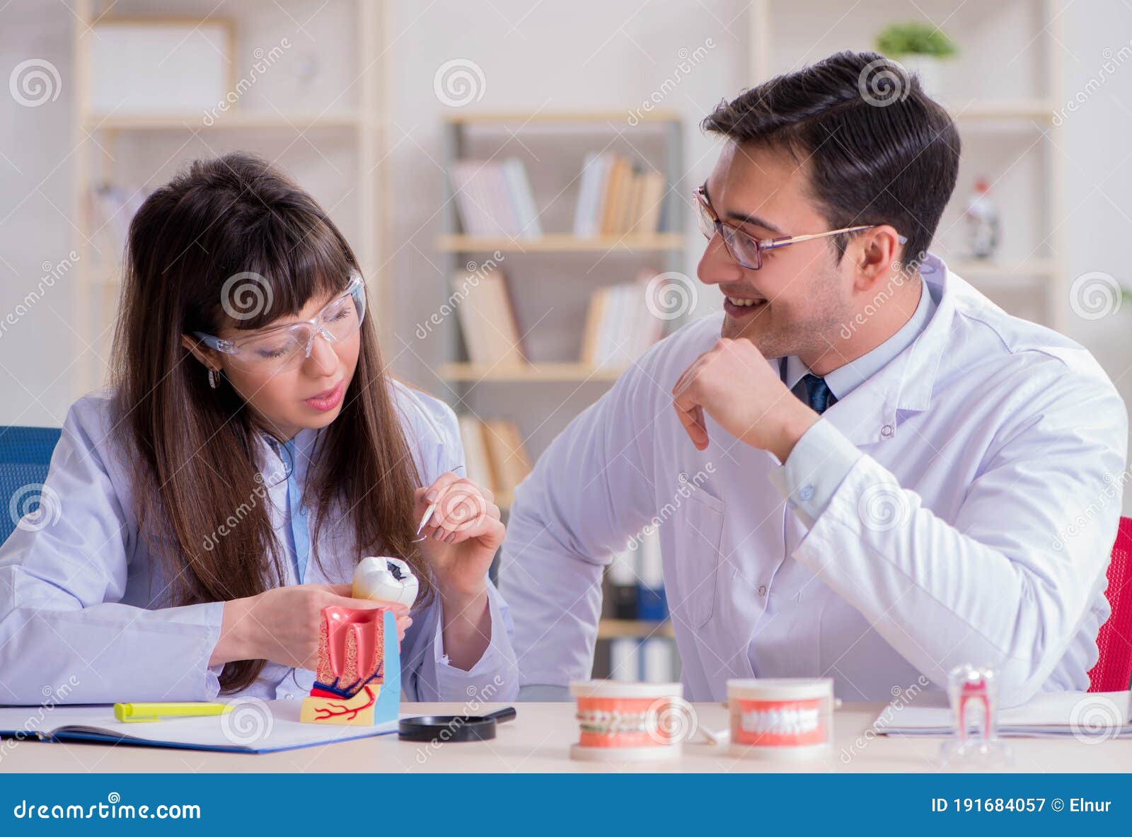 Dentist Explaining Student Tooth Structure Stock Image - Image of ...