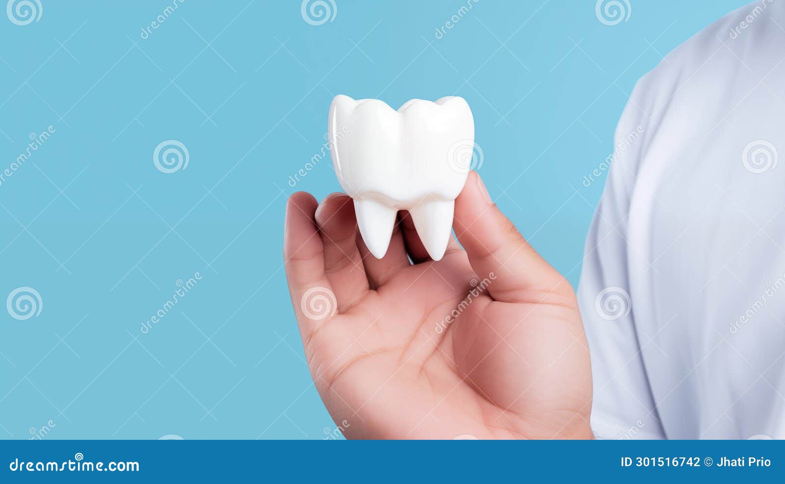 Dentist Hands with Healthy White Tooth Model and Dentist Mirror on a ...