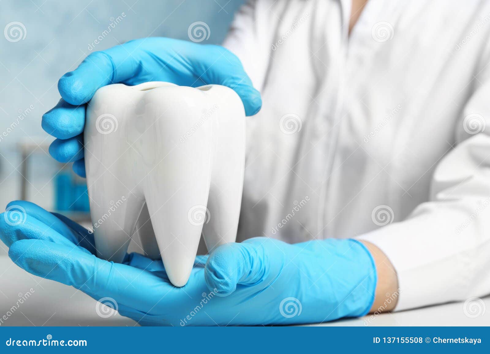 Dentist Holding Ceramic Model of Tooth at Table Stock Photo - Image of ...