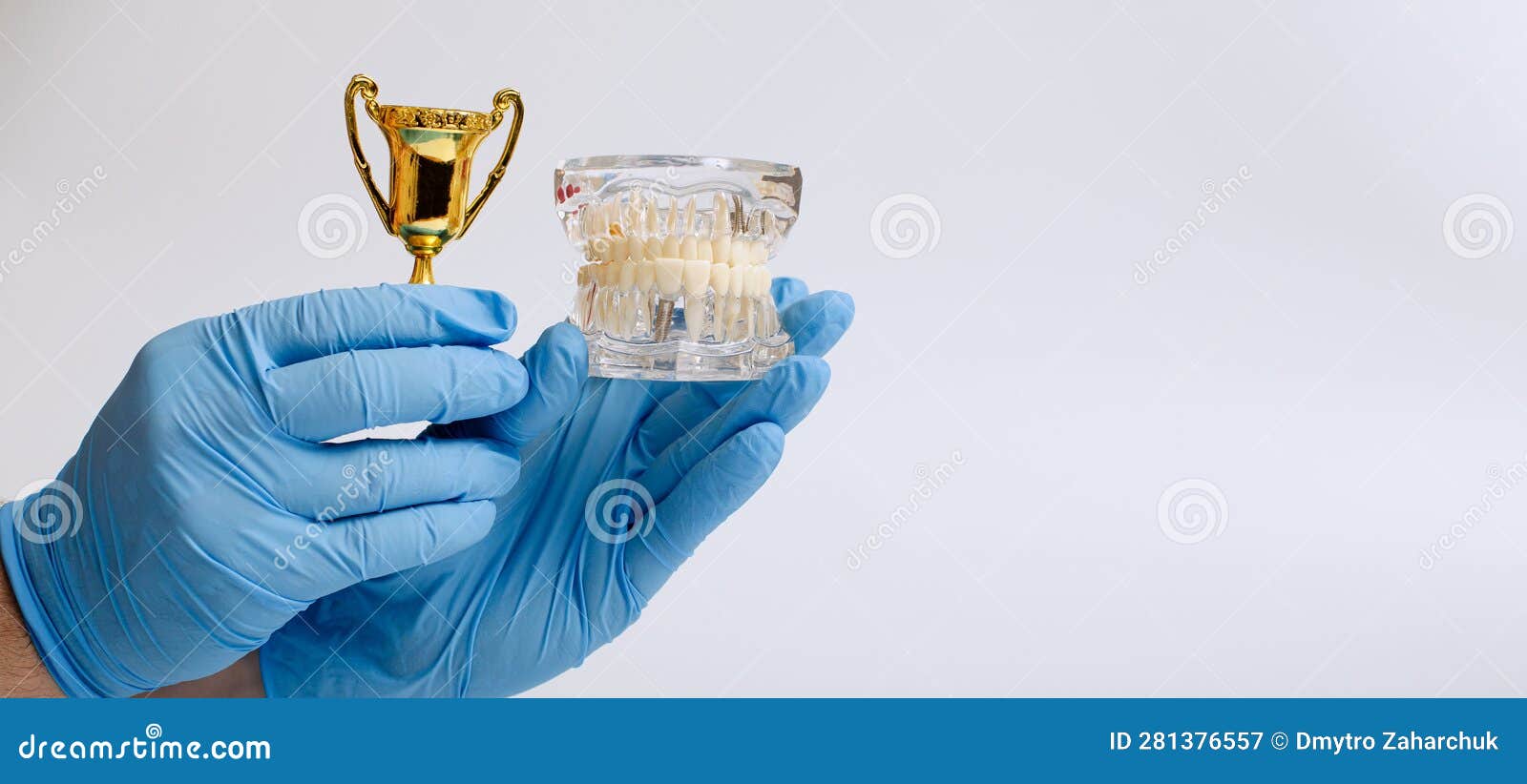 Dentist Holding a Trophy and a Tooth Model on a White Background Stock ...