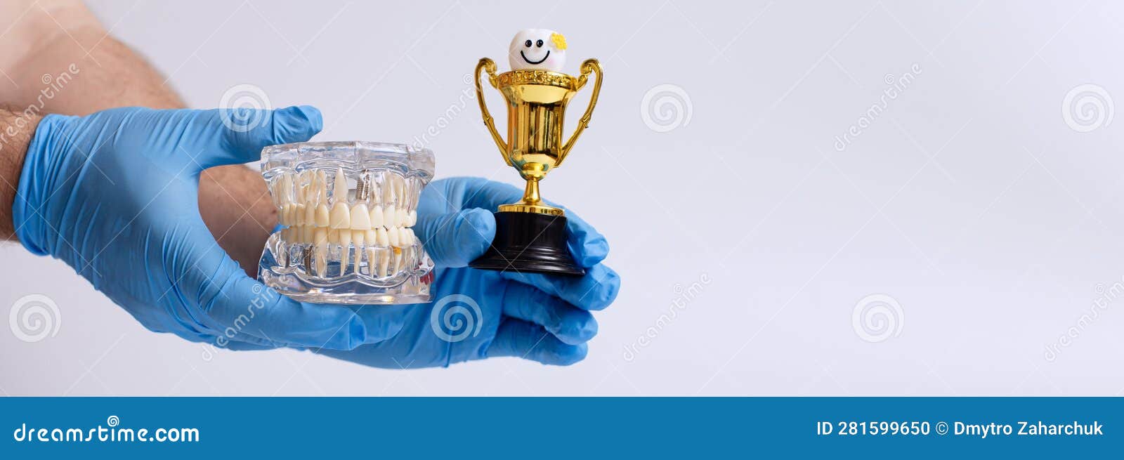 Dentist Holding a Trophy and a Tooth Model on a White Background Stock ...