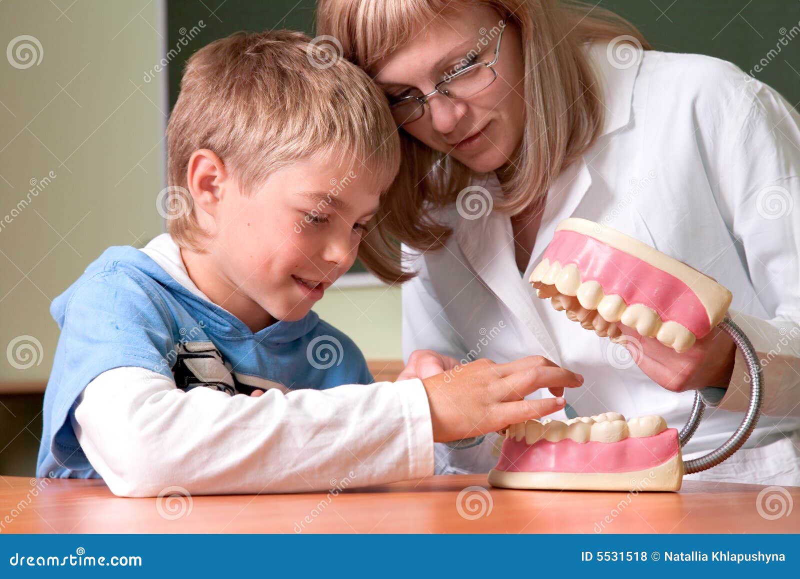 Dentist with Jaw of Dentist S Sample Teeth Stock Photo - Image of ...