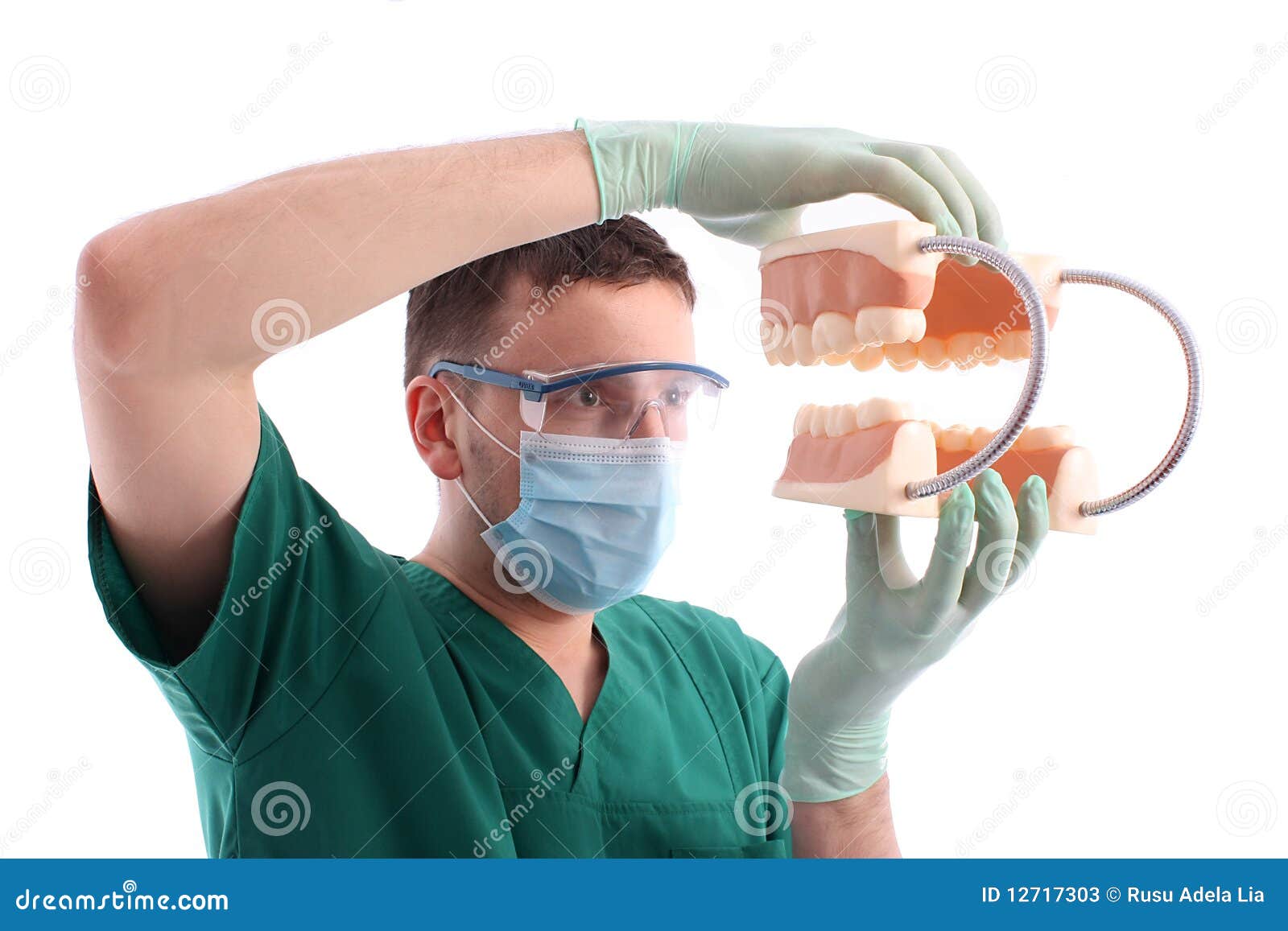 Dentist Look at a Big Reproduction Model of Teeth Stock Image - Image ...