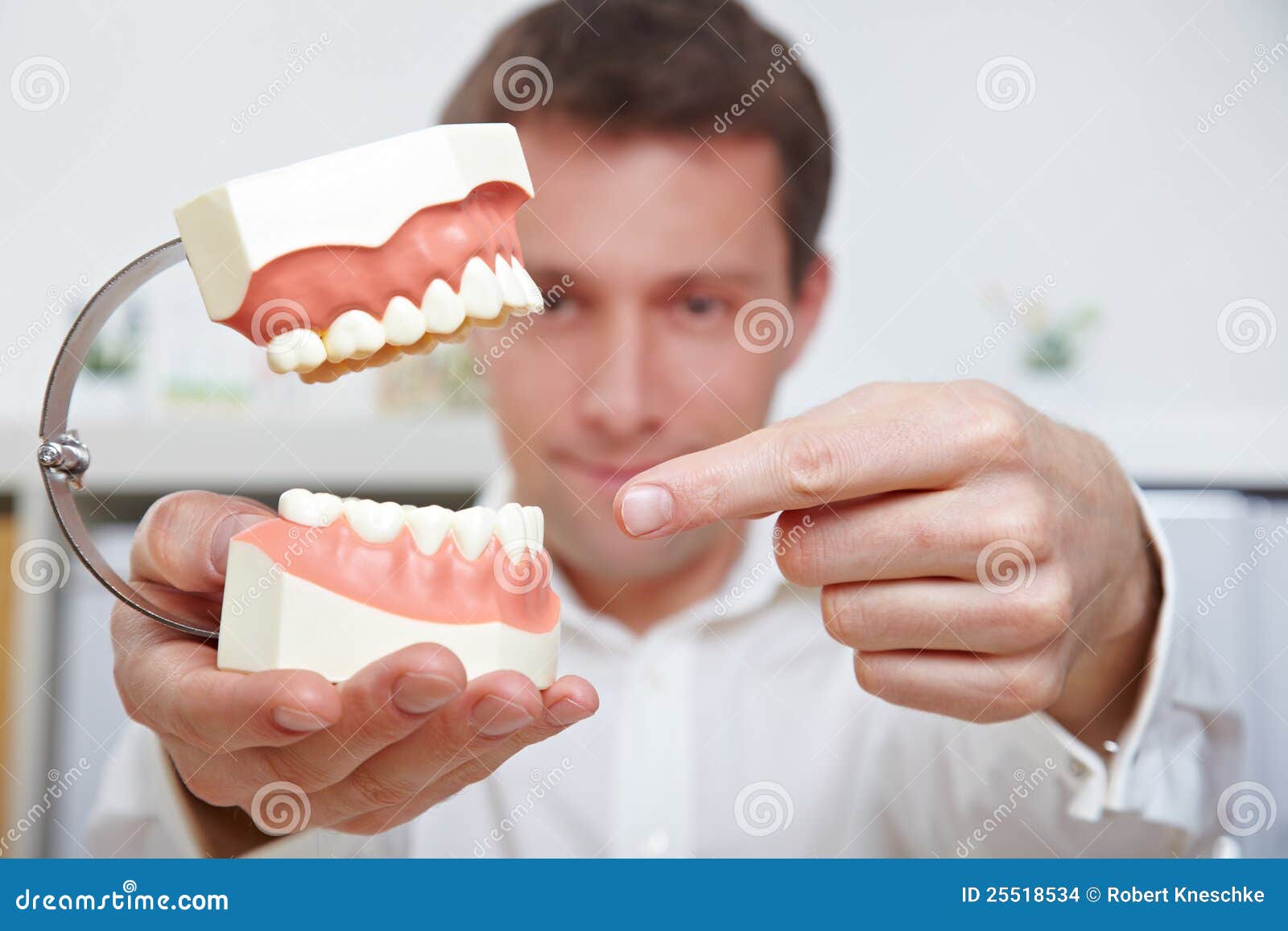 Dentist Pointing To Teeth Model Stock Photo - Image of people, healthy ...