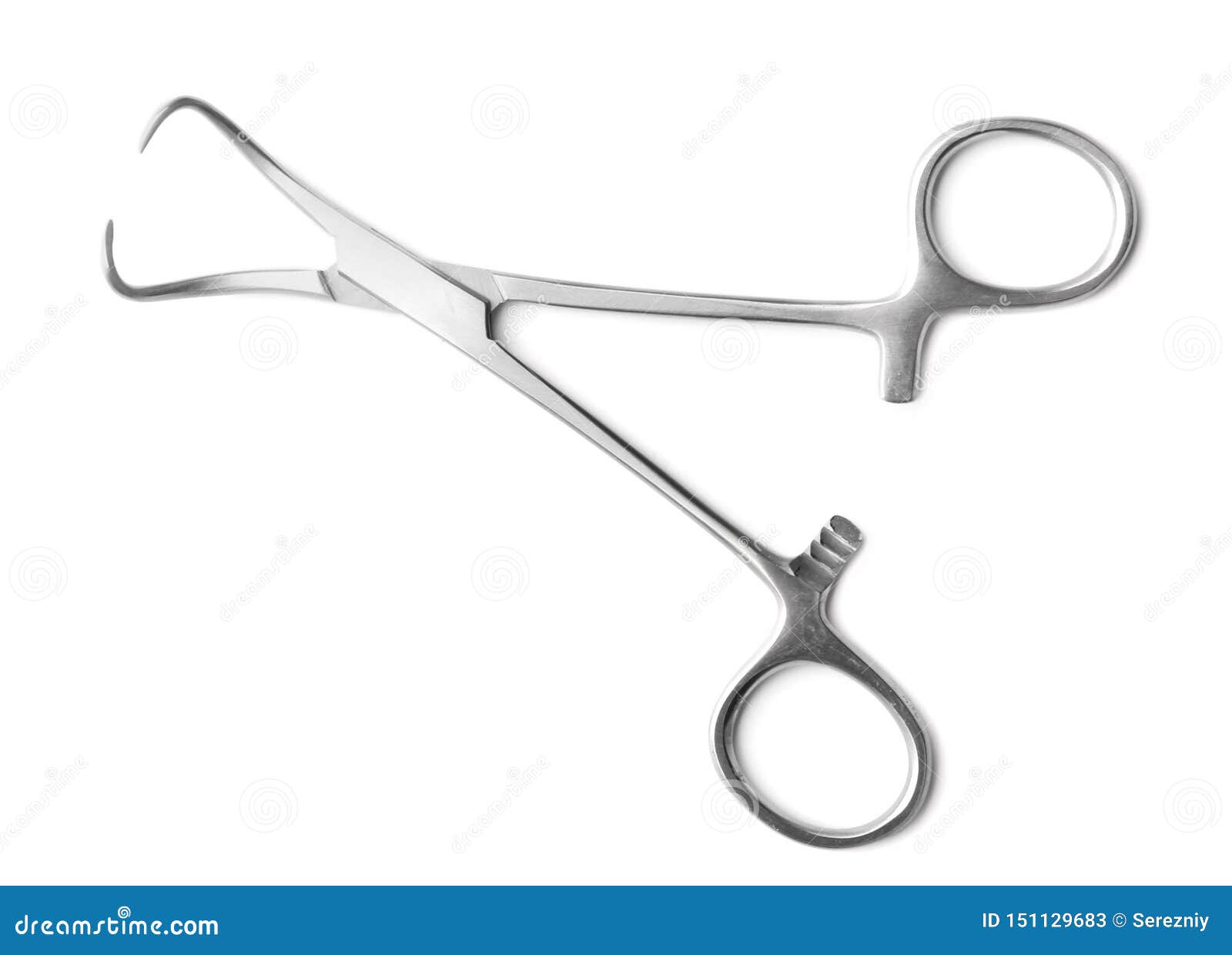 Dentist S Forceps on White Background Stock Image - Image of dentist ...