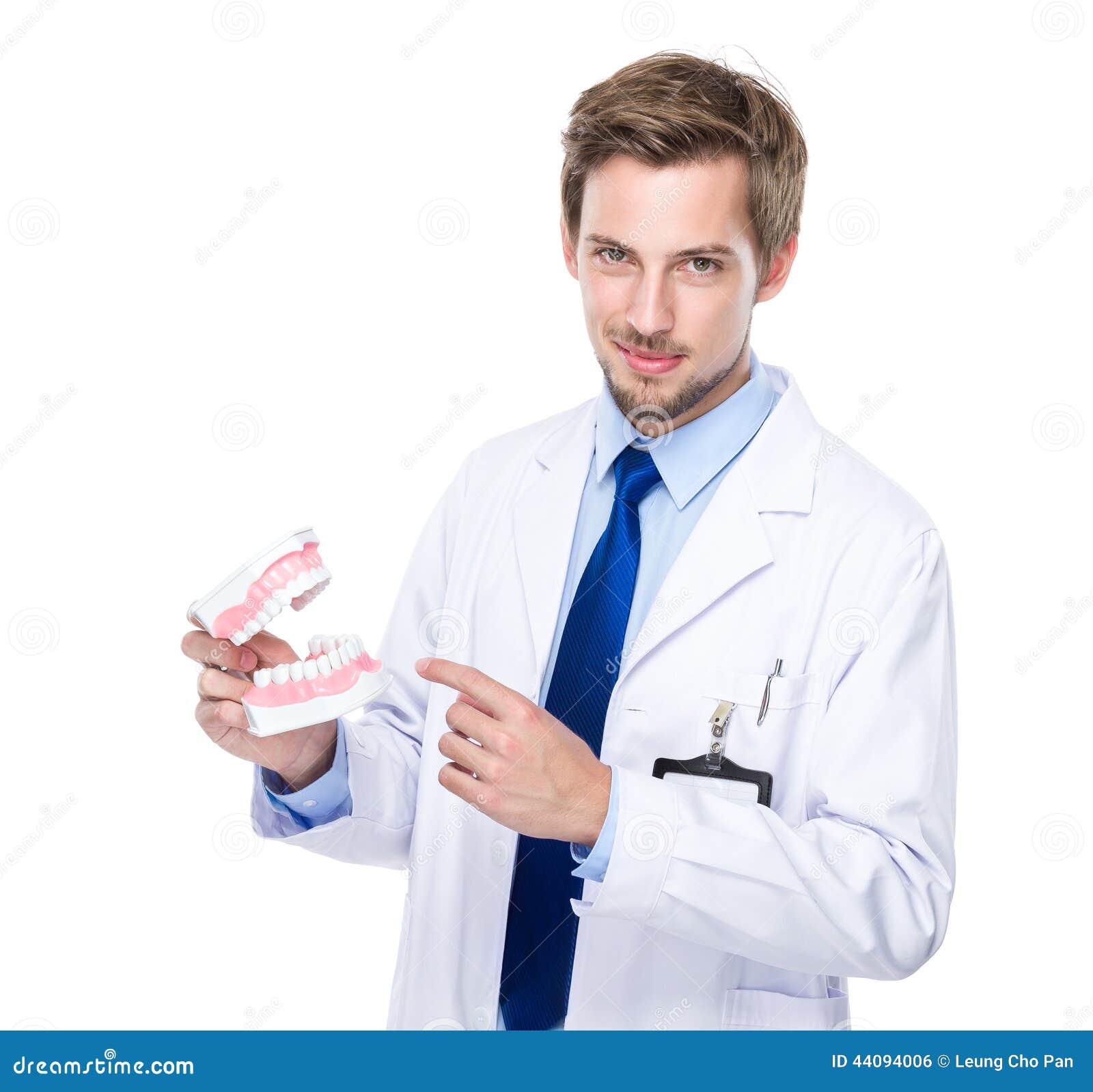 Dentist show with denture stock photo. Image of european - 44094006
