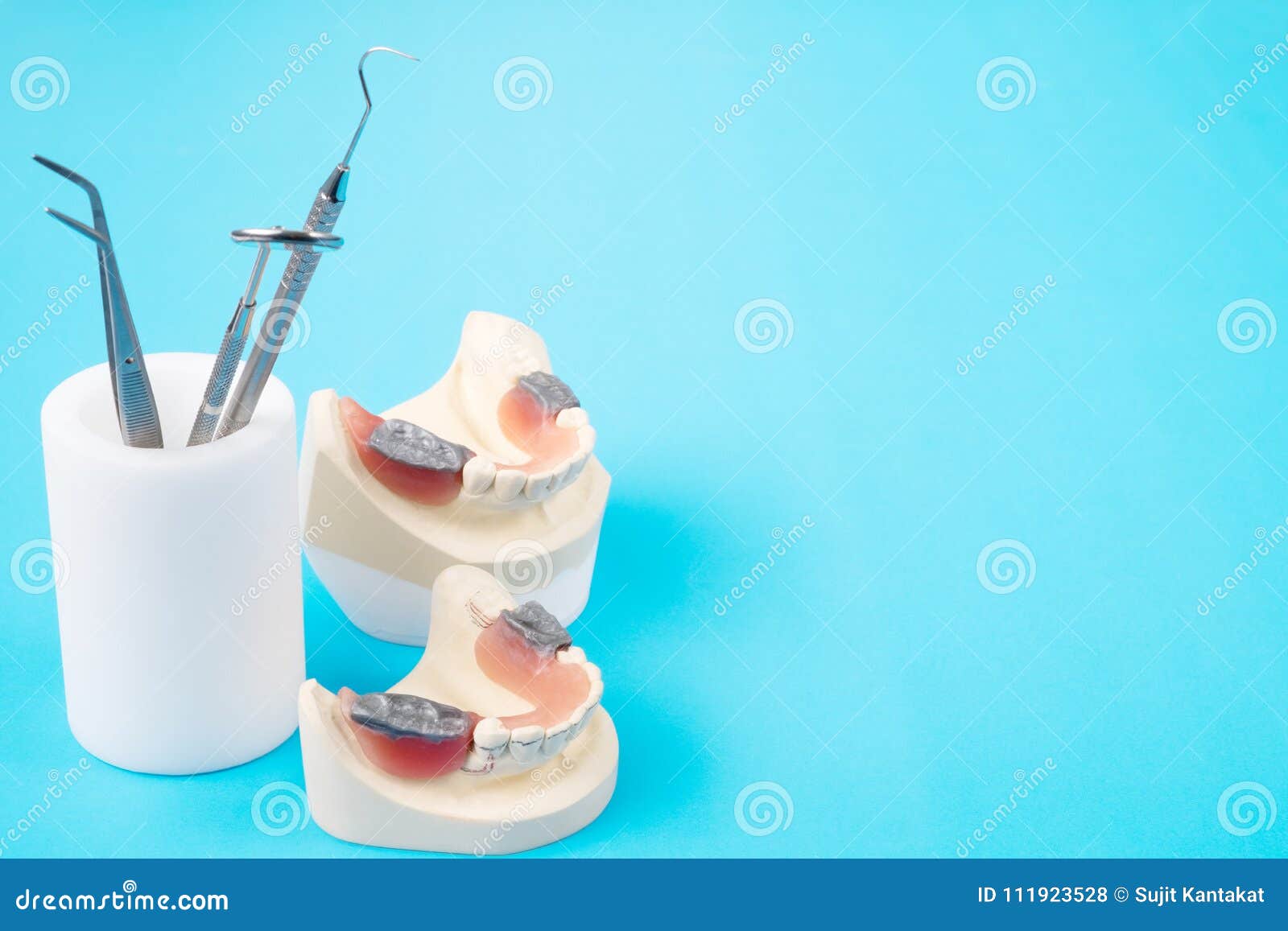Dentist Tools and Prosthodontic Model. Stock Photo - Image of ...