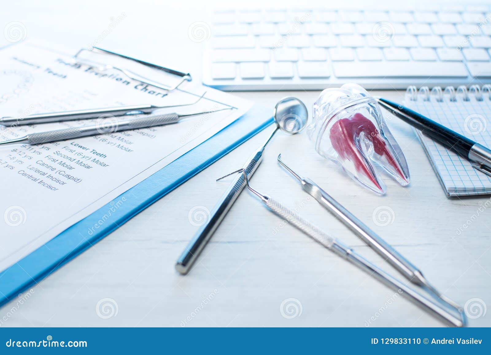 Dentist Tools, Tooth Eruption Chart and Tooth Model on Table with ...