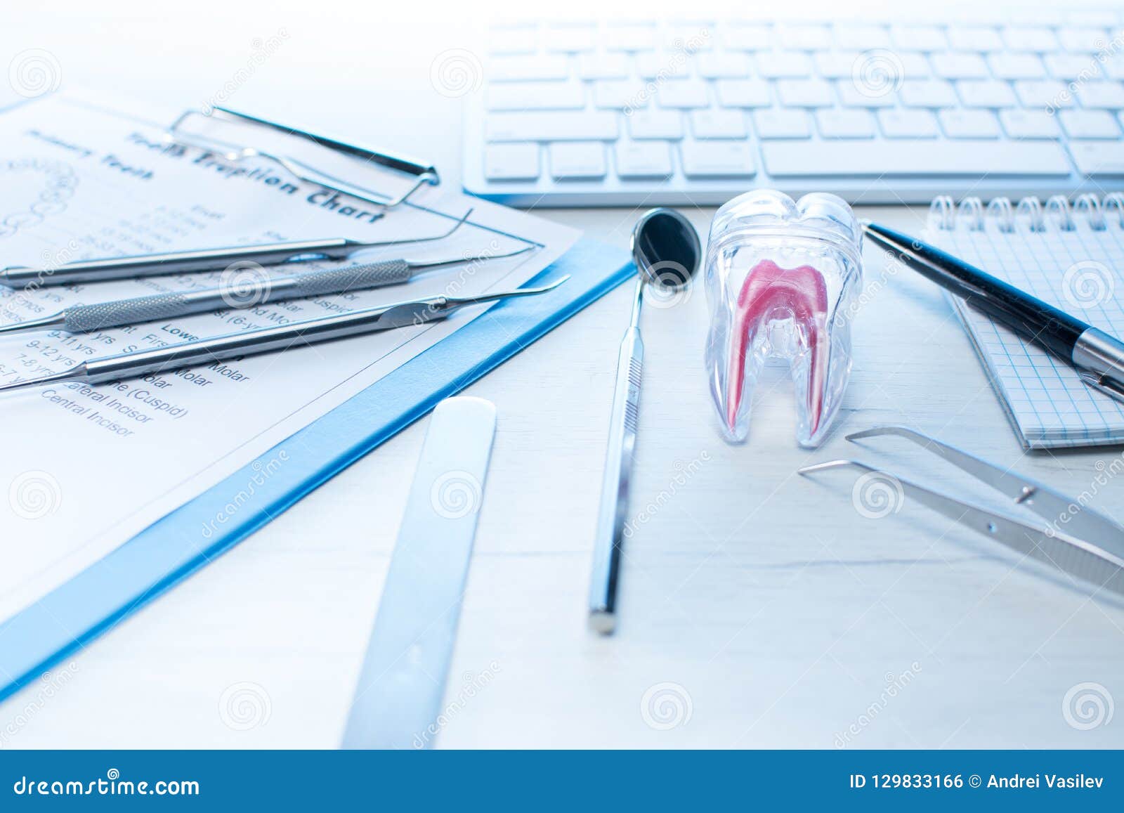 Dentist Tools, Tooth Eruption Chart and Tooth Model on Table with ...