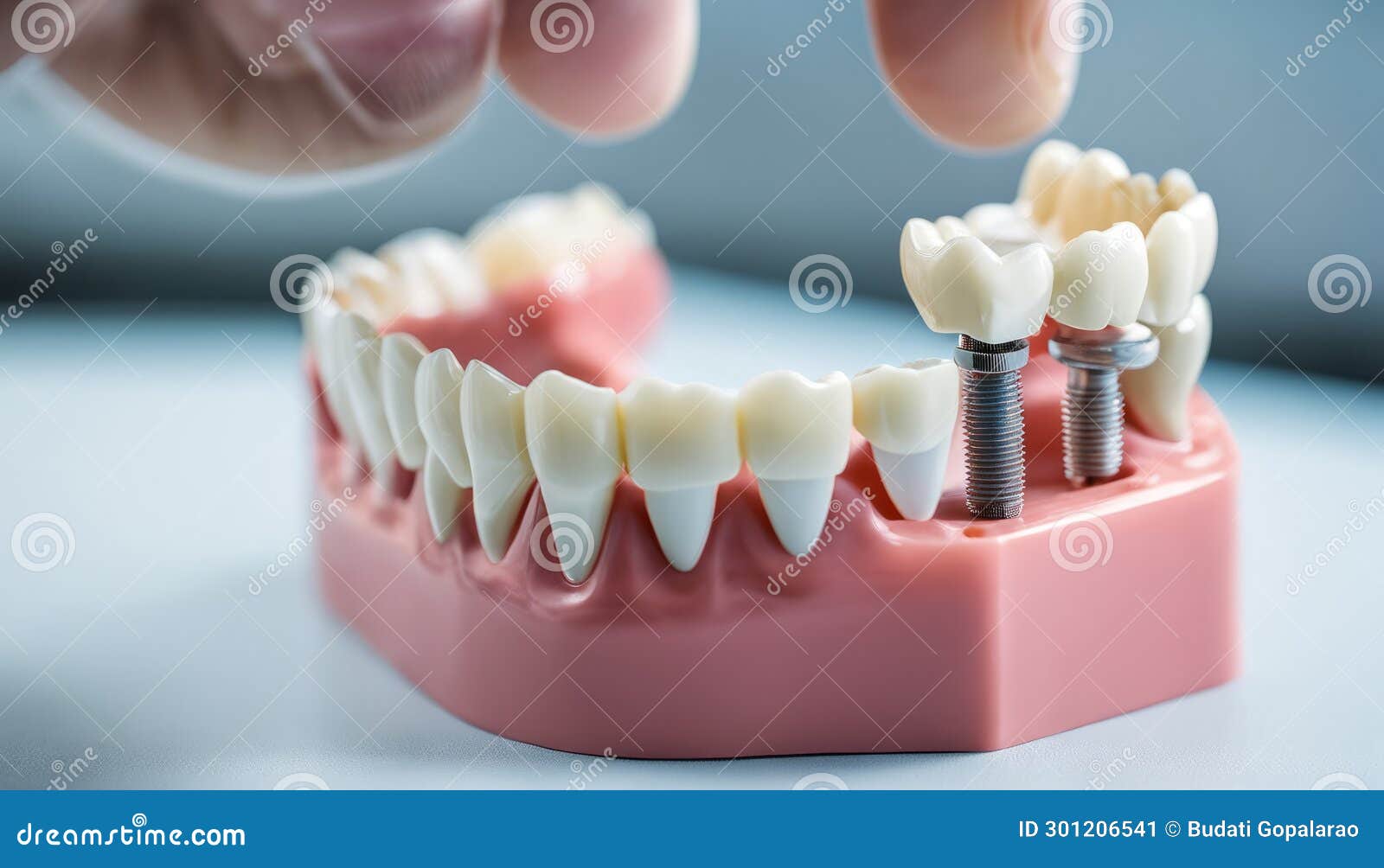 A Dentist is Working on a Fake Set of Teeth Stock Illustration ...