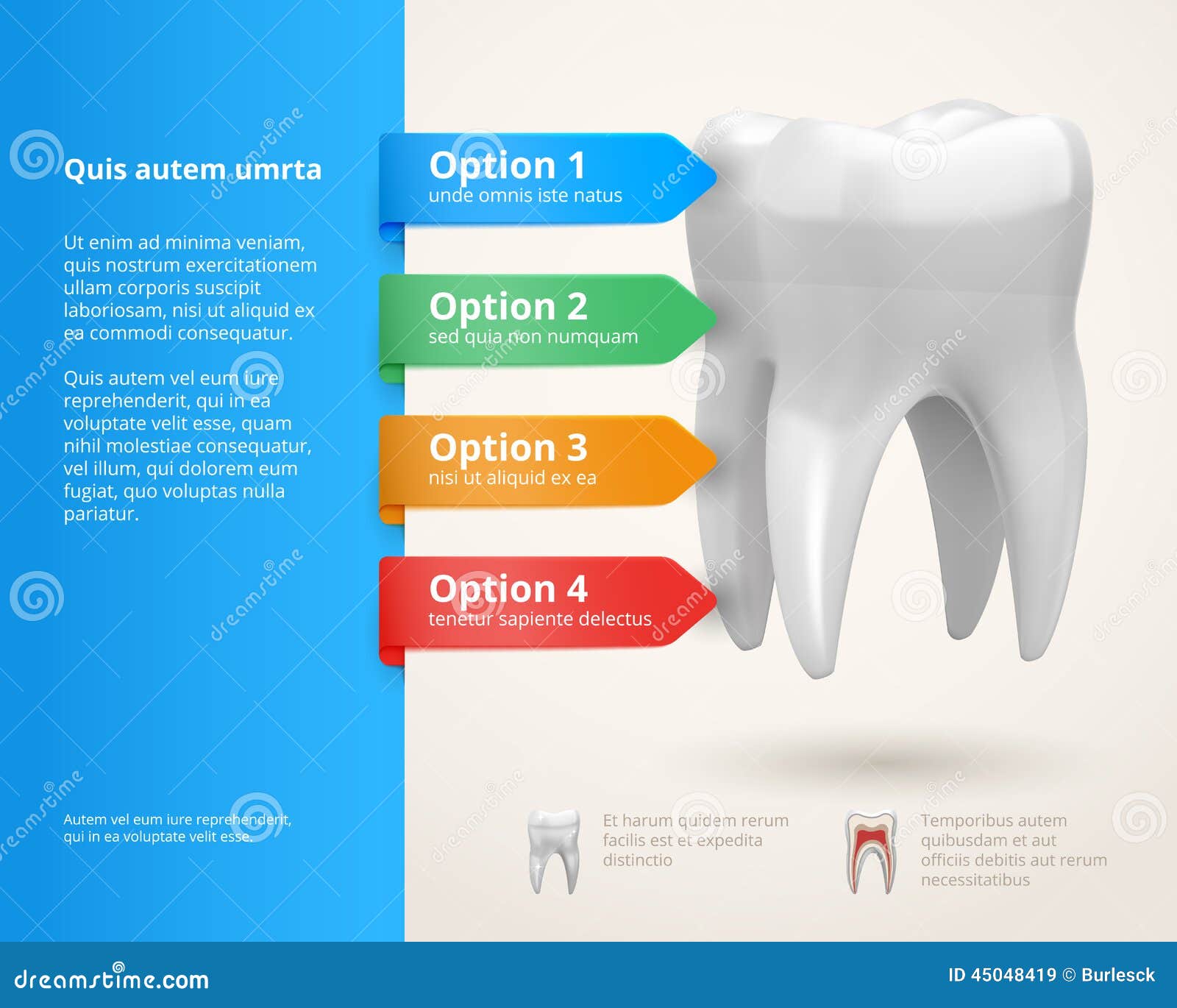 Dentistry infographics stock vector. Illustration of carious - 45048419