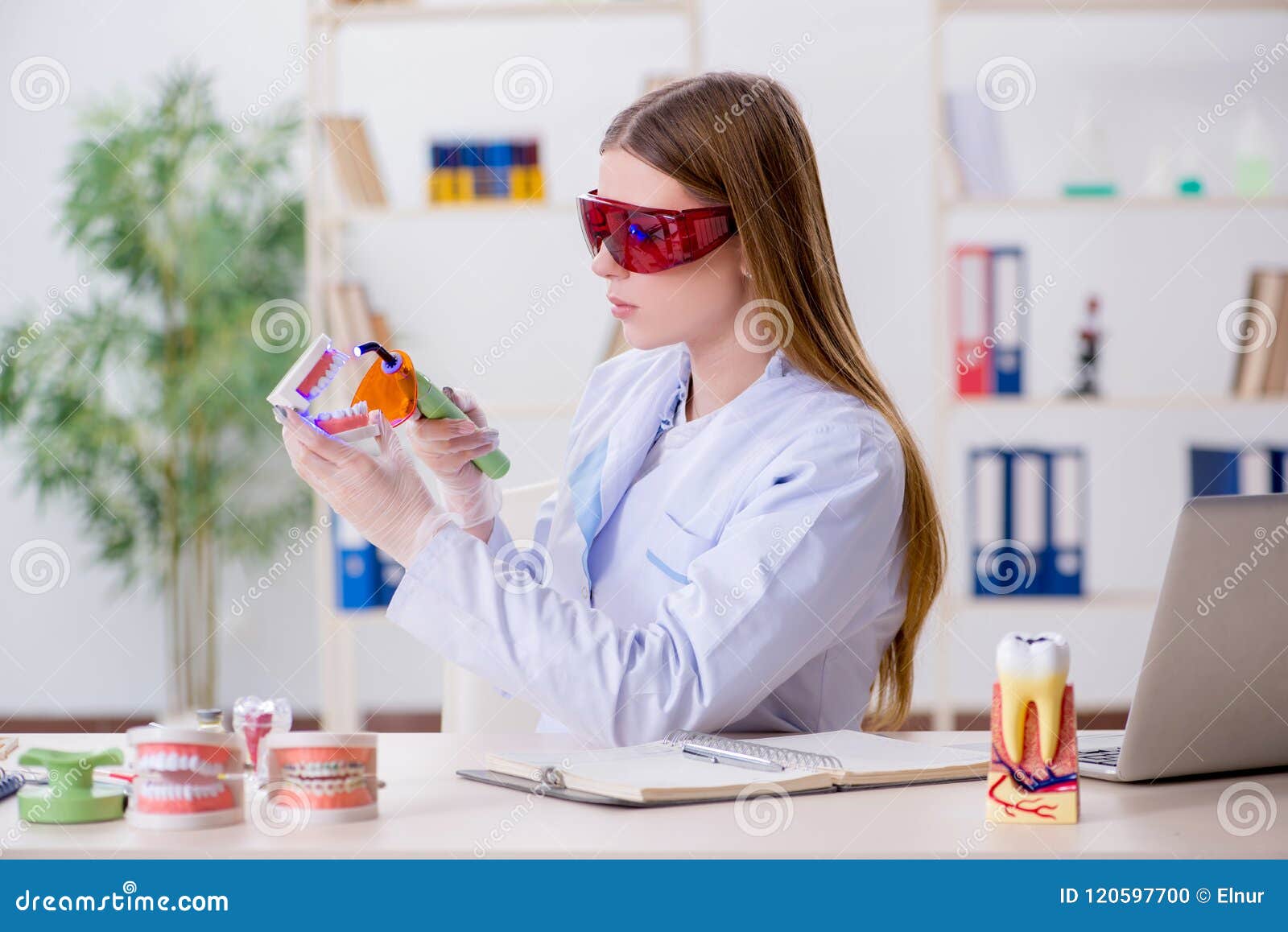 The Dentistry Student Practicing Skills in Classroom Stock Photo ...