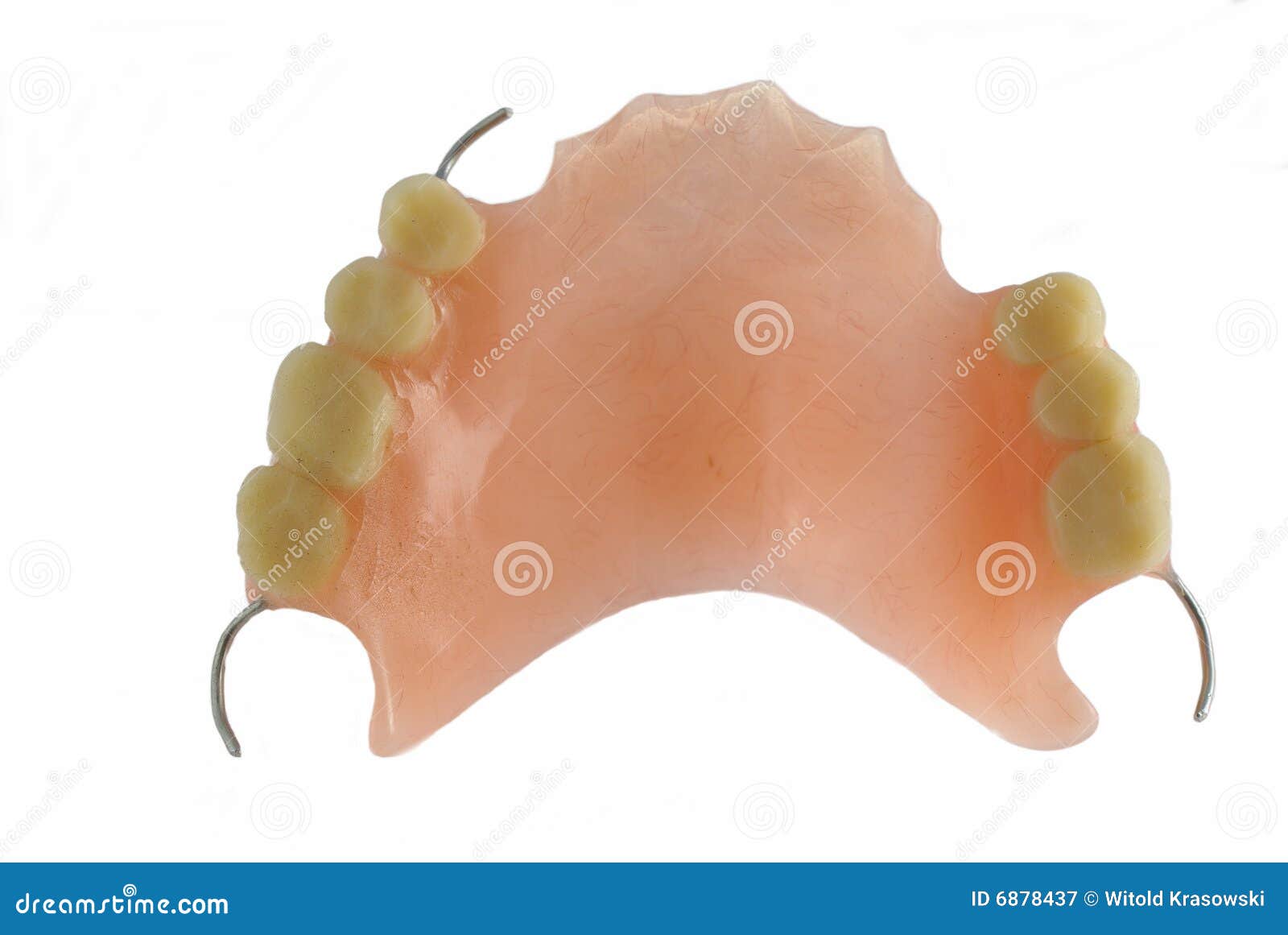 Denture stock image. Image of artificial, dentistry, denture - 6878437