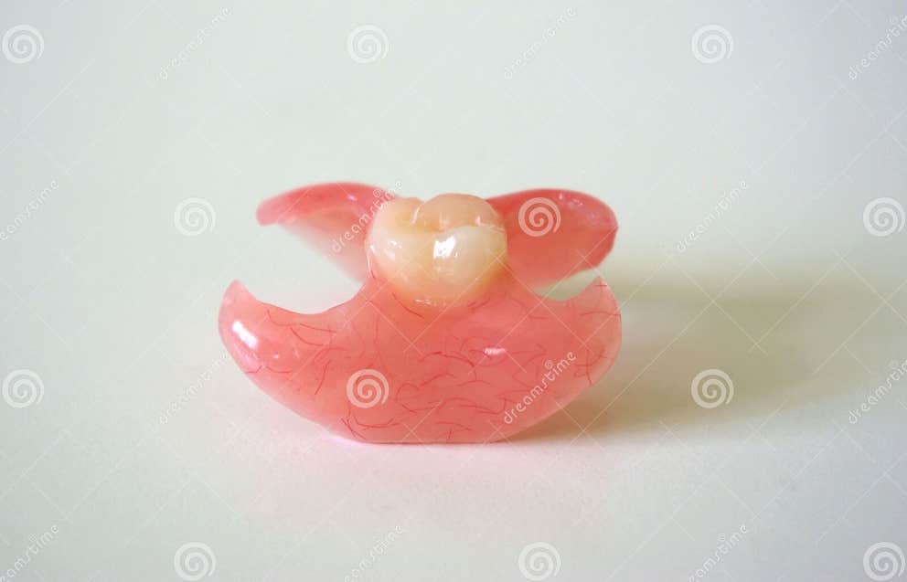 Denture Butterfly on a Light Background Stock Photo - Image of ...