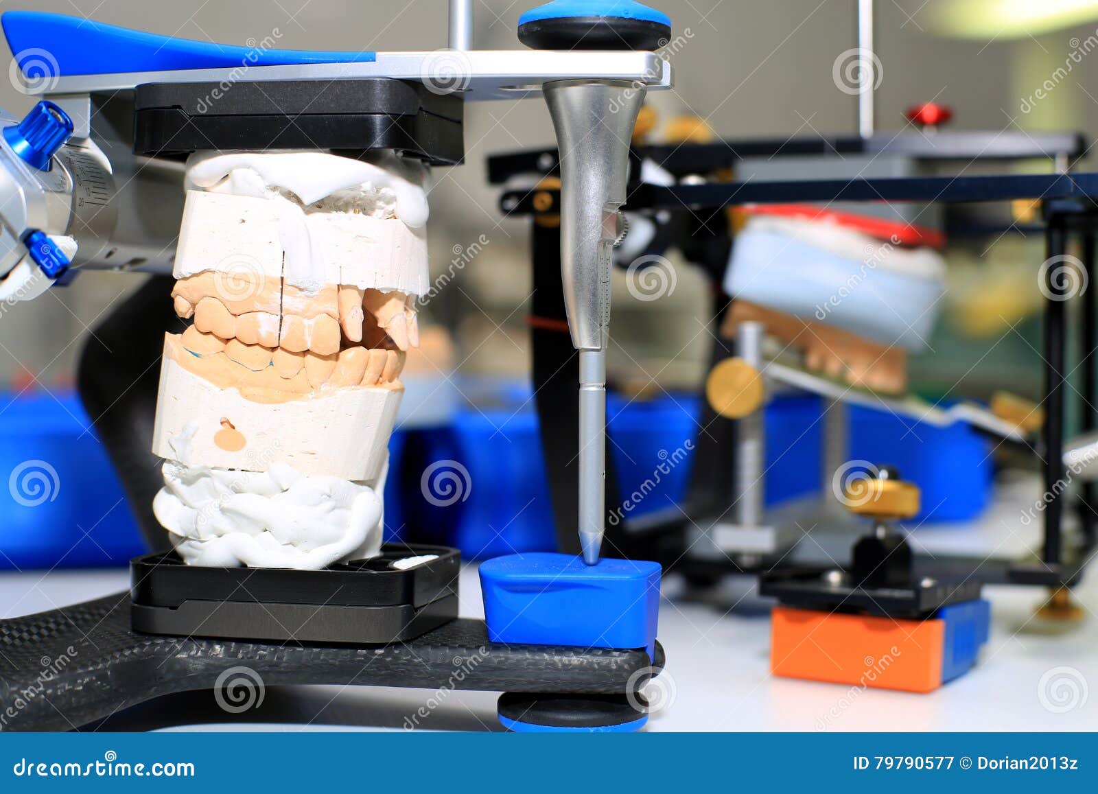 Denture Cast Model, Dental Tools Set Stock Photo | CartoonDealer.com ...