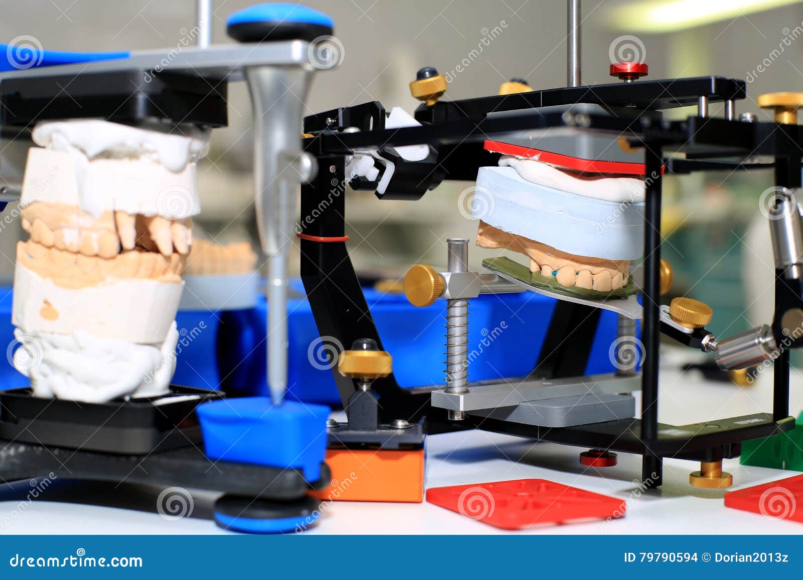 Denture Cast Model, Dental Tools Set Stock Photo | CartoonDealer.com ...