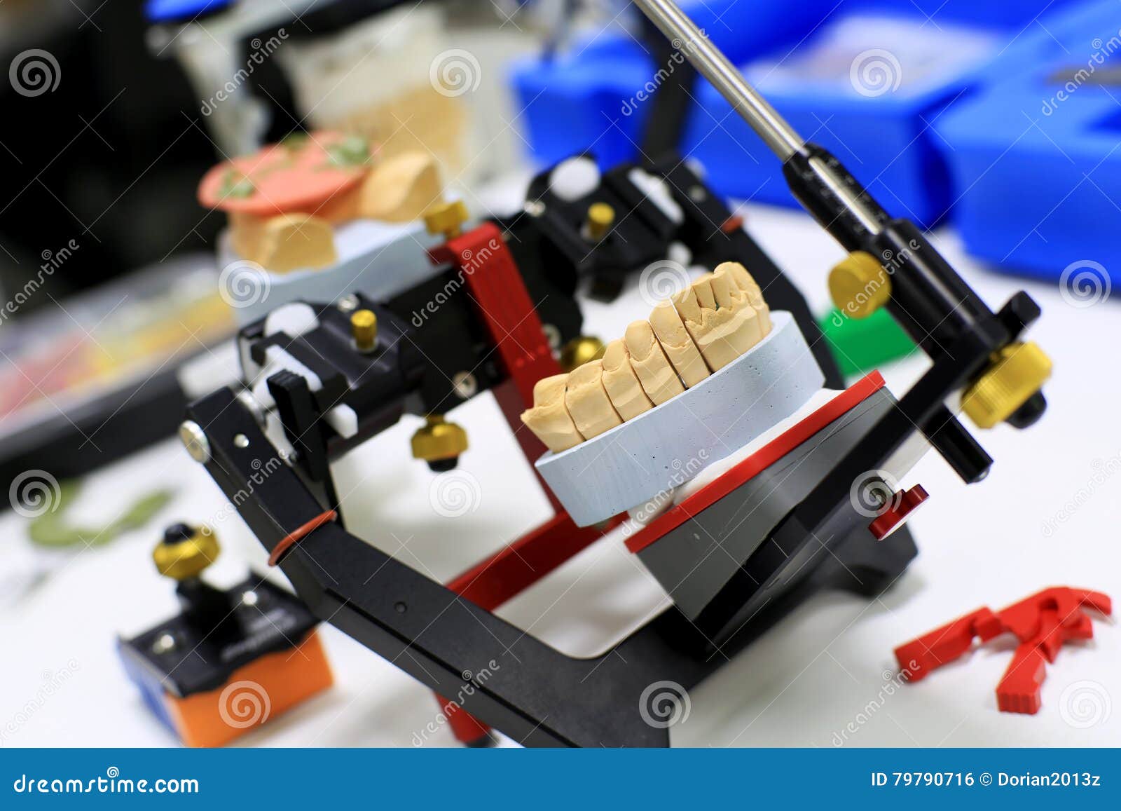 Denture Cast Model, Dental Tools Set Stock Photo | CartoonDealer.com ...